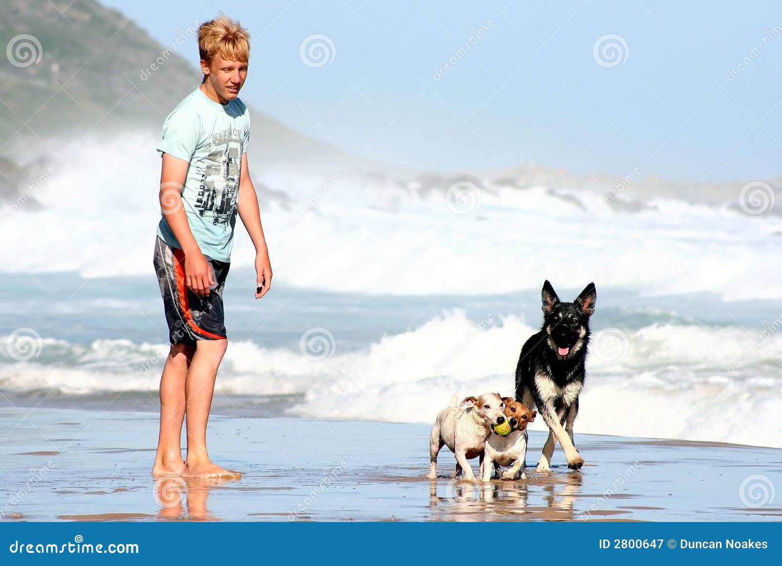 Seaside Fun and Games stock image. Image of pets, sand - 2800647