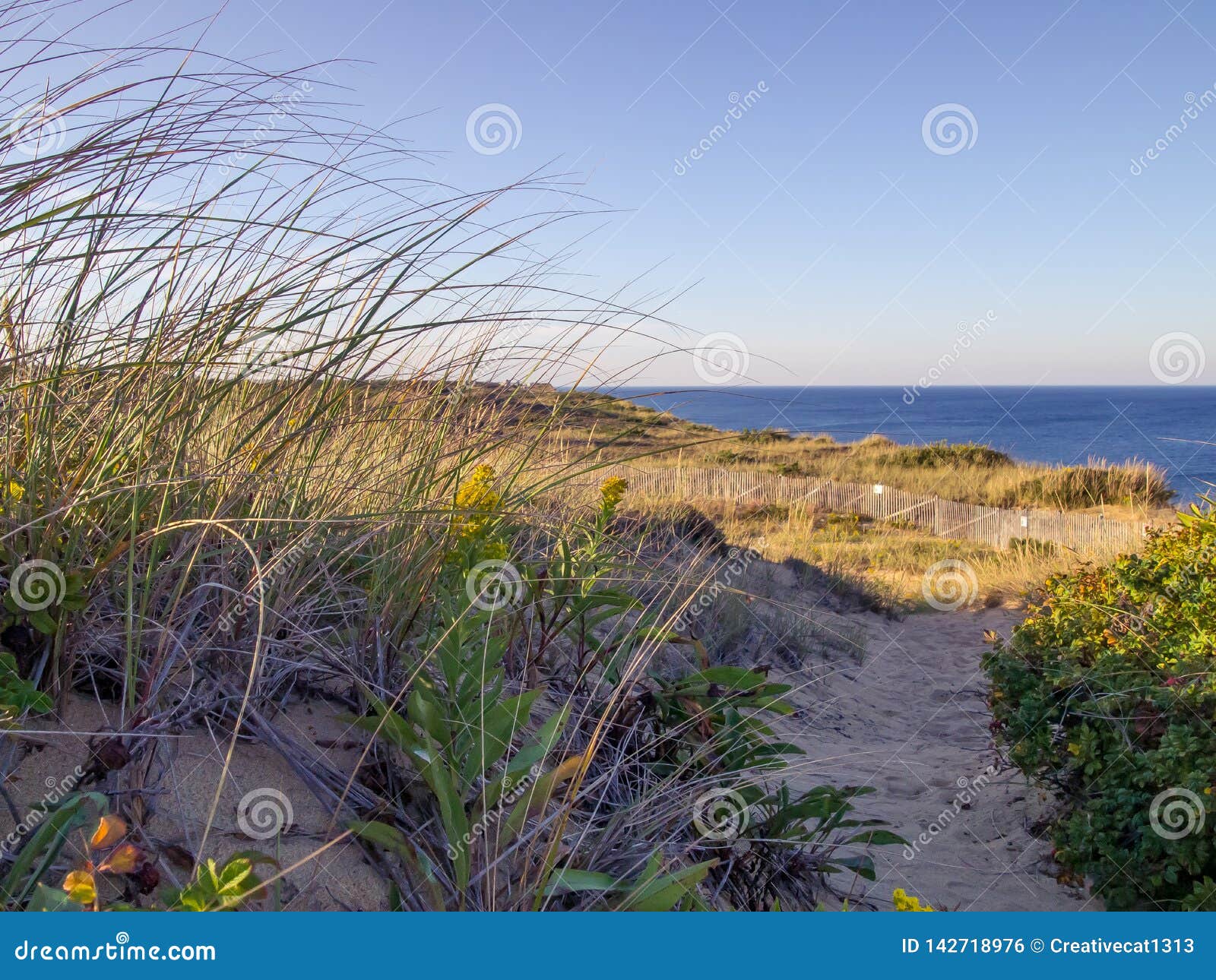 Cape Cod National Seashore Cliffs at Goldenhour Stock Photo - Image of ...