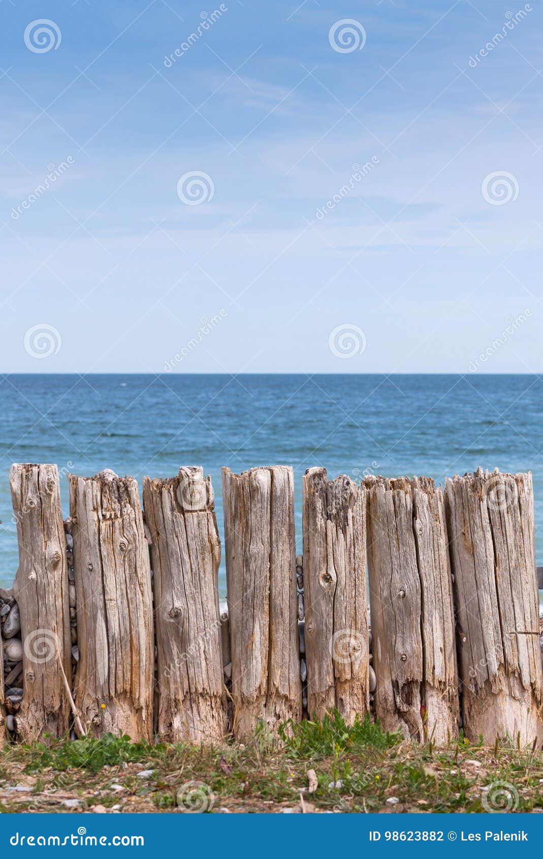 Seaside log fence stock photo. Image of quebec, vertical - 98623882