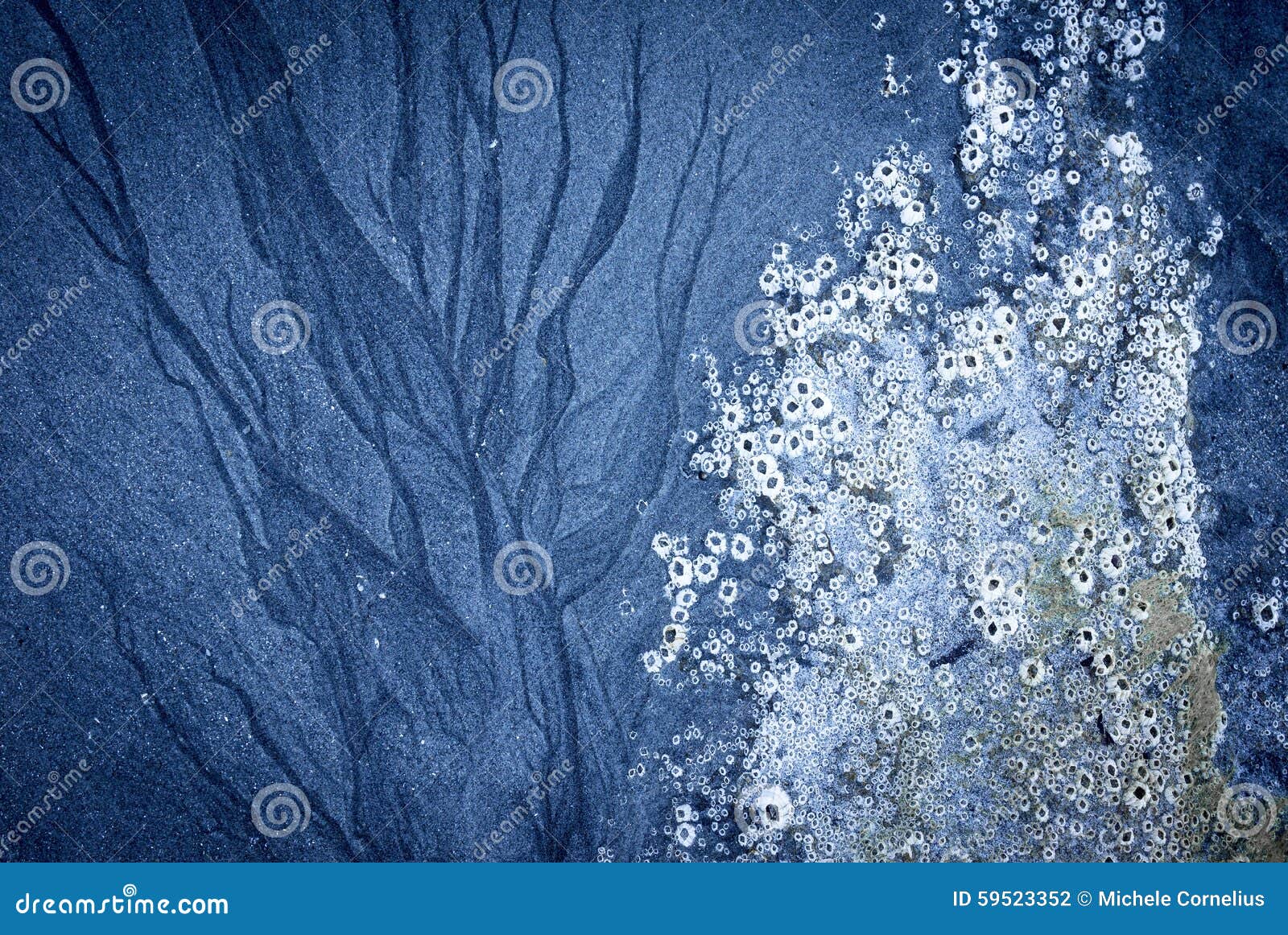 Seaside Meanders stock photo. Image of flow, patterns - 59523352