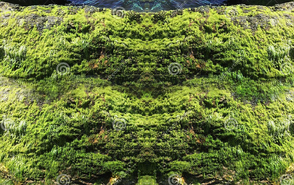 Seaside and mossy rock stock image. Image of beach, dusk - 96924585