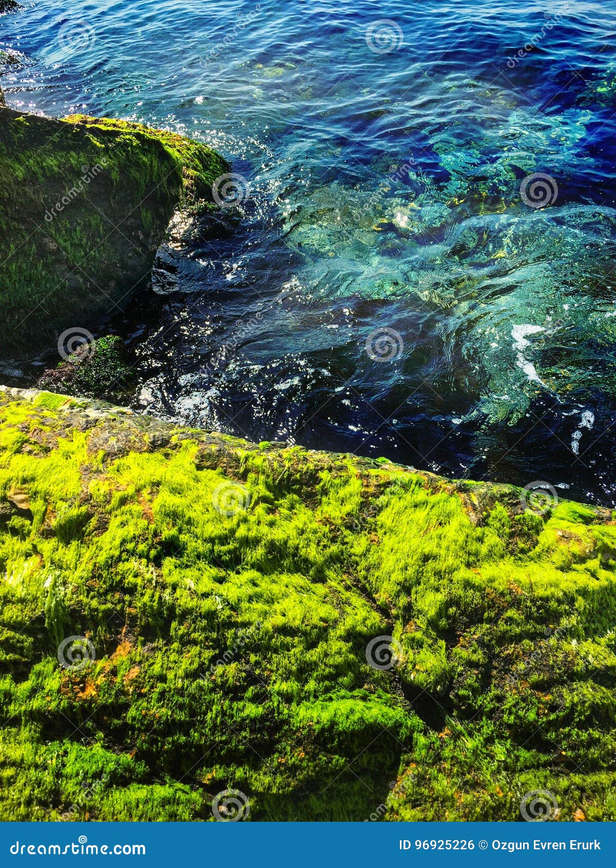Seaside and mossy rock stock photo. Image of coastal - 96925226