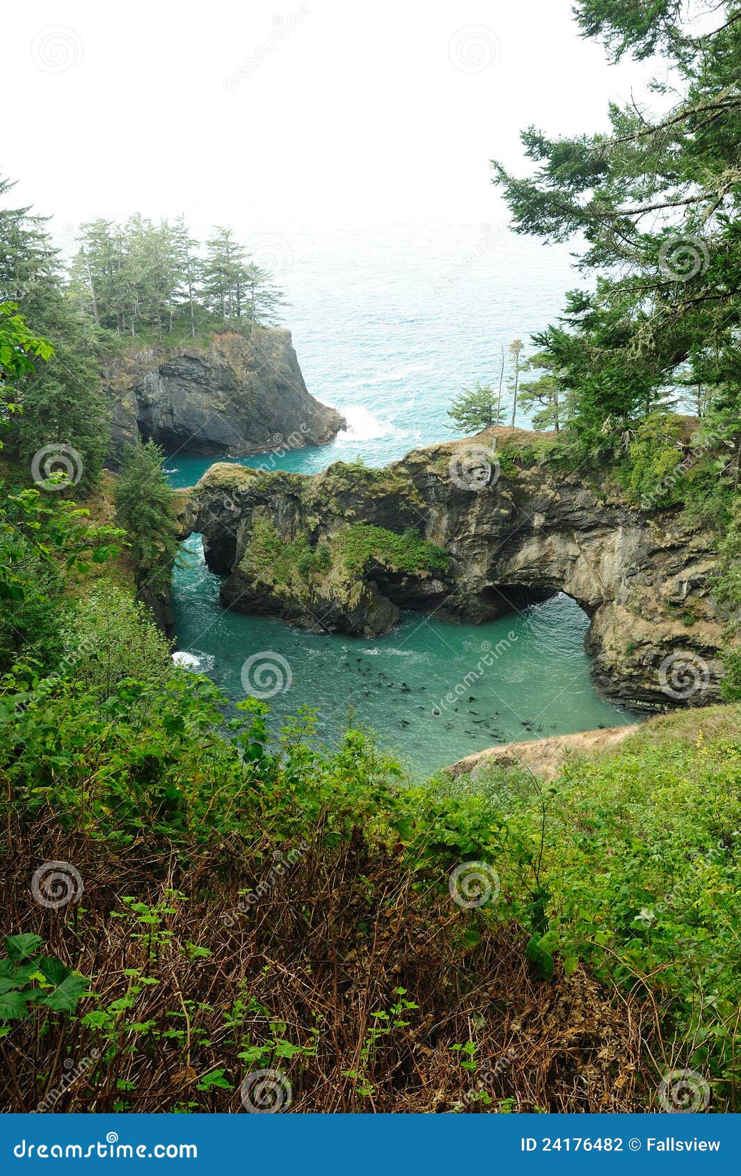 Seaside Natural Rock Bridge Stock Photo - Image of landscape, scenic ...