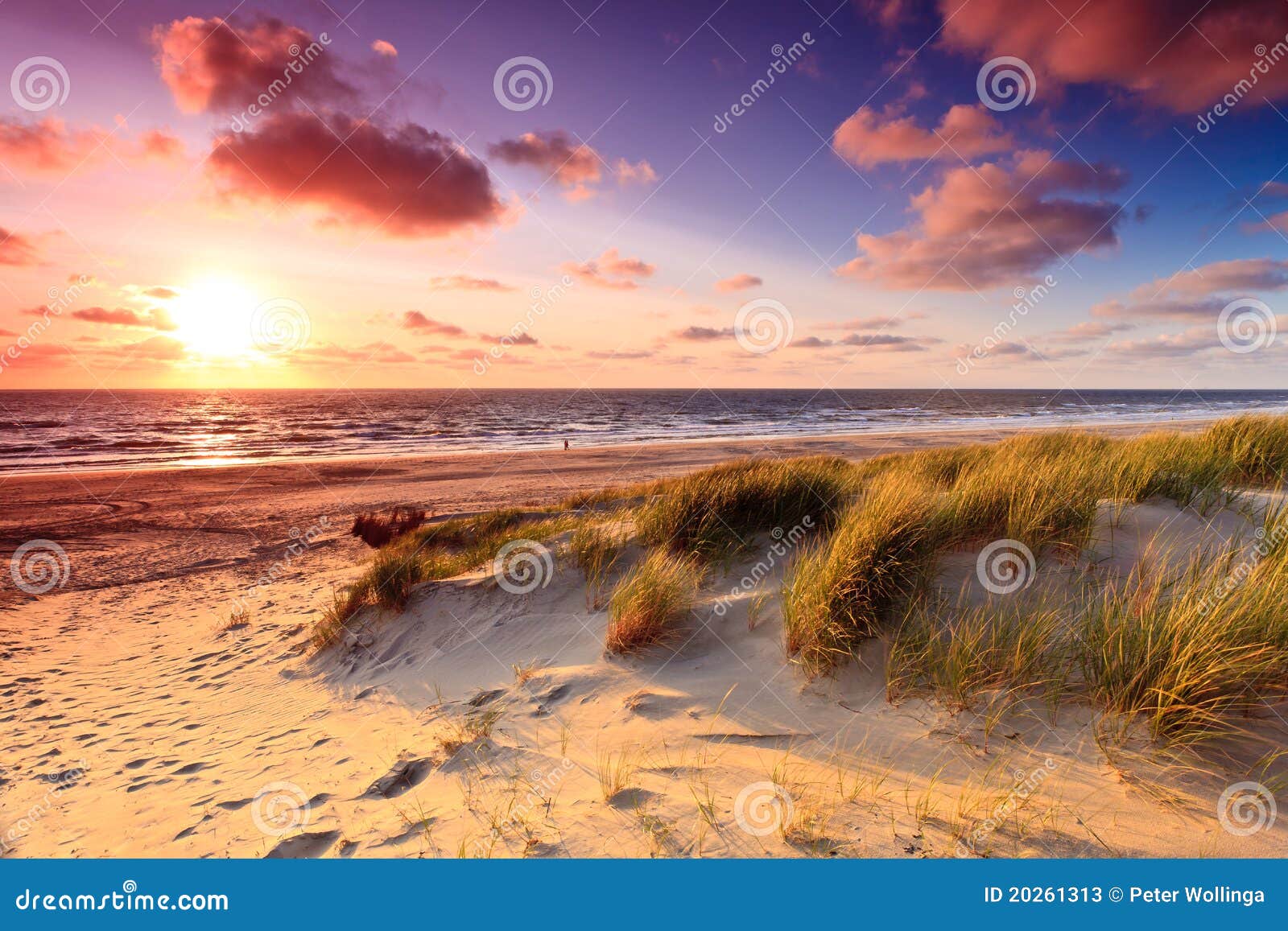 Beach Sand Dunes Sunset