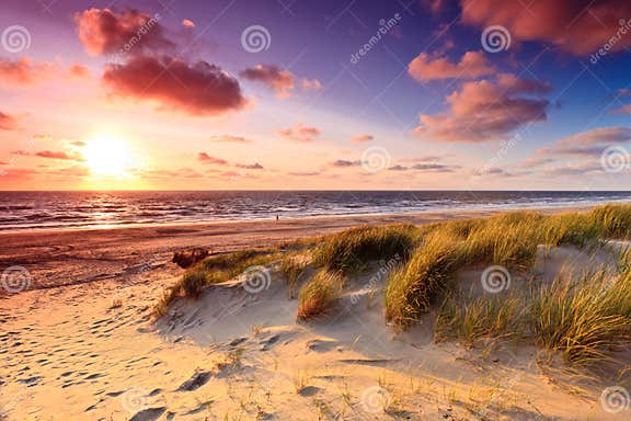 Seaside with Sand Dunes at Sunset Stock Image - Image of beach, dusk ...