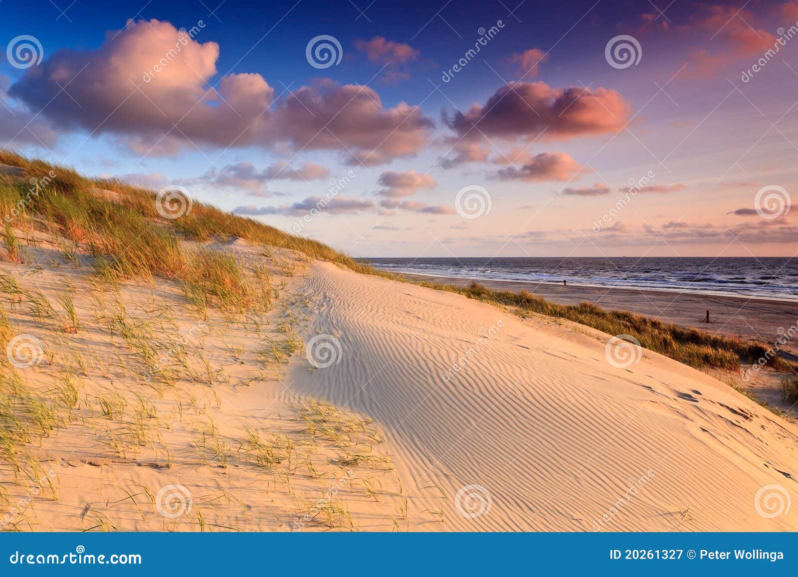 Seaside with Sand Dunes at Sunset Stock Image - Image of dusk, grass ...