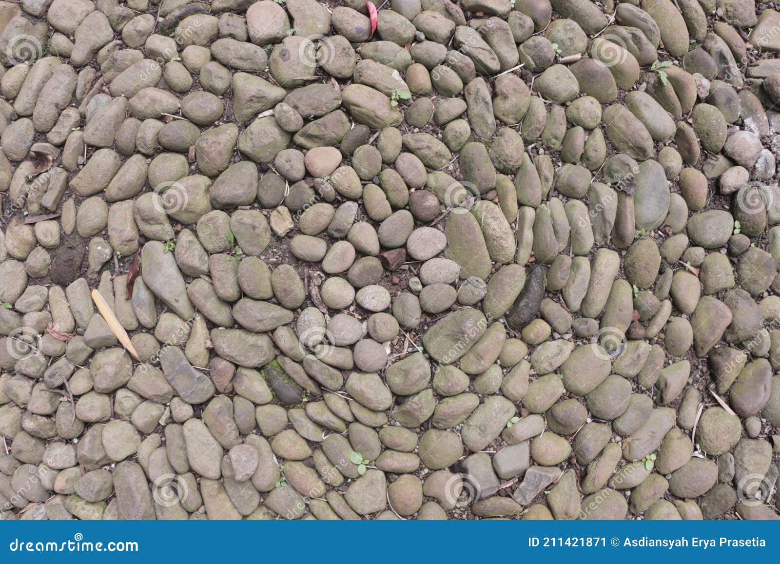 Seaside stone texture stock image. Image of texture - 211421871