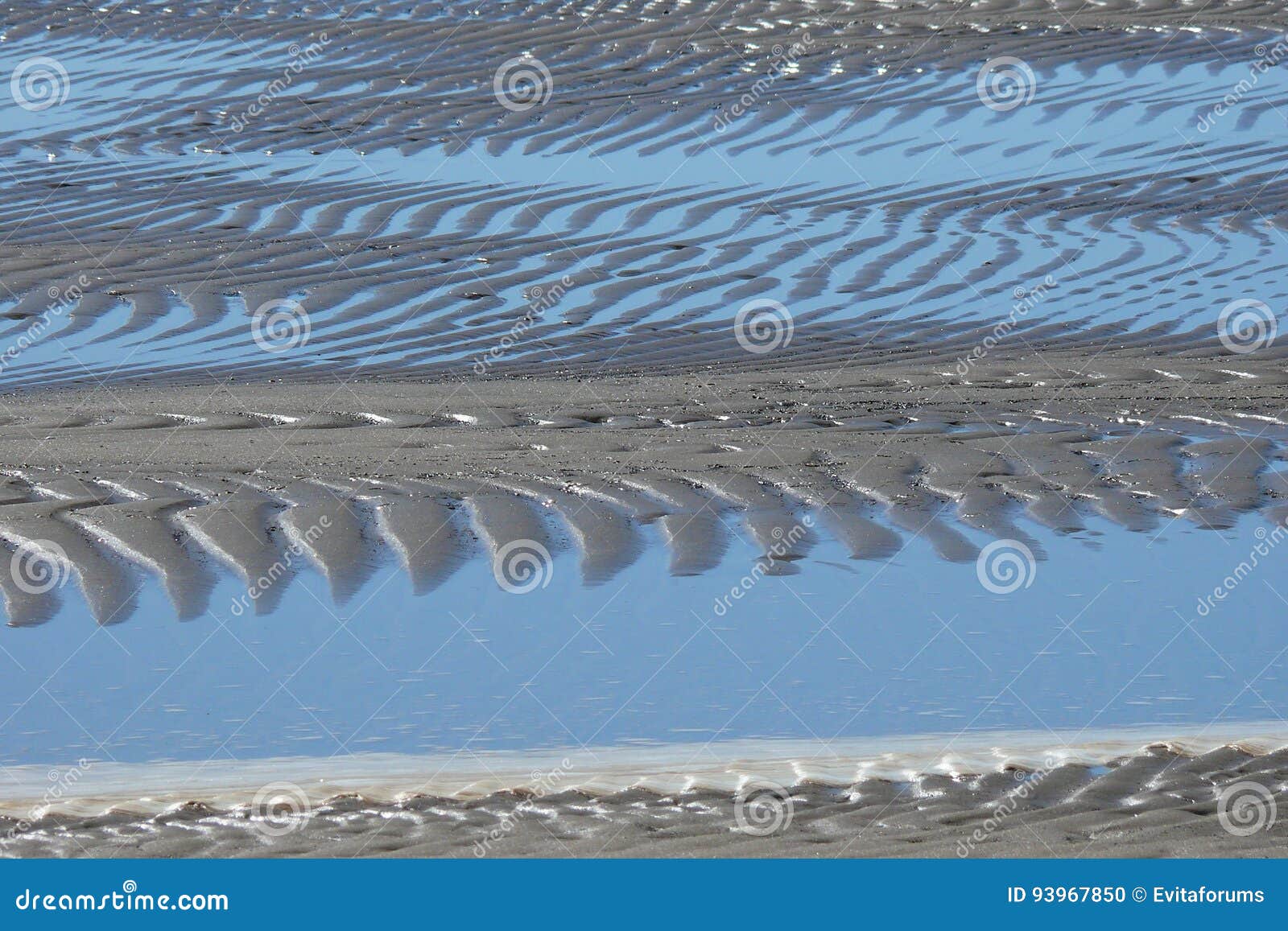 Seaside texture stock photo. Image of coast, summer, landscape - 93967850