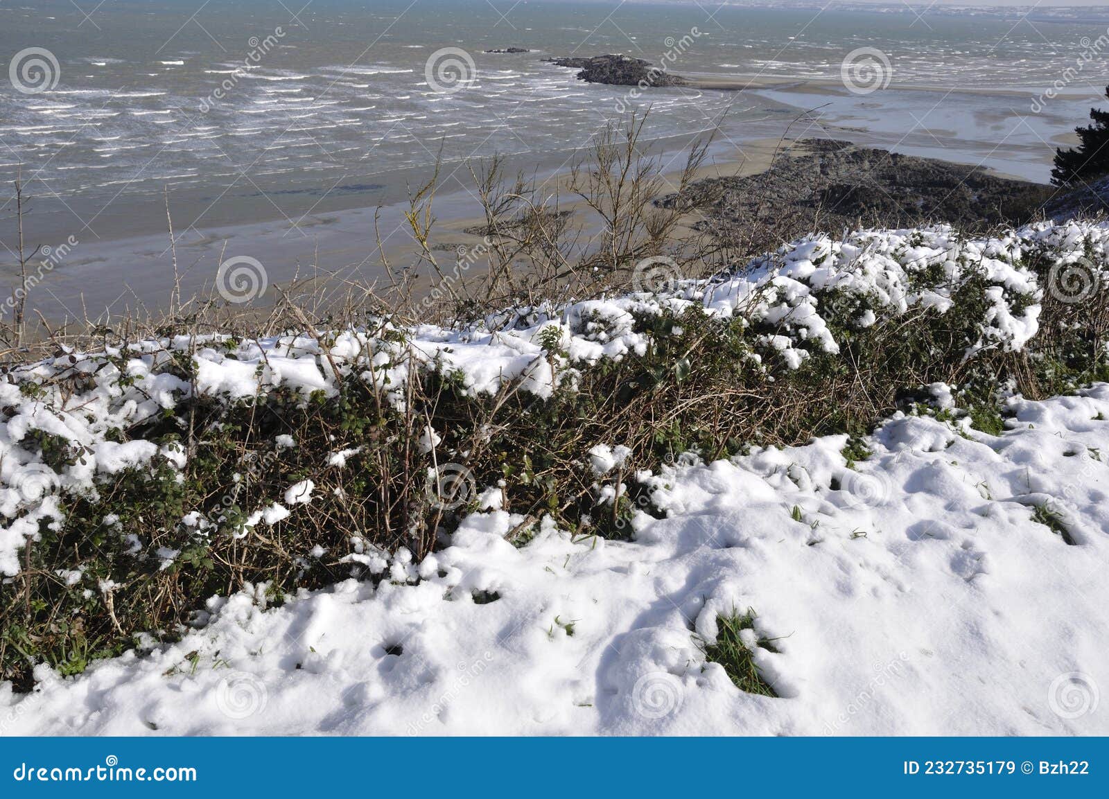 Seaside Under Snow in Brittany Stock Image - Image of branch, coastline ...