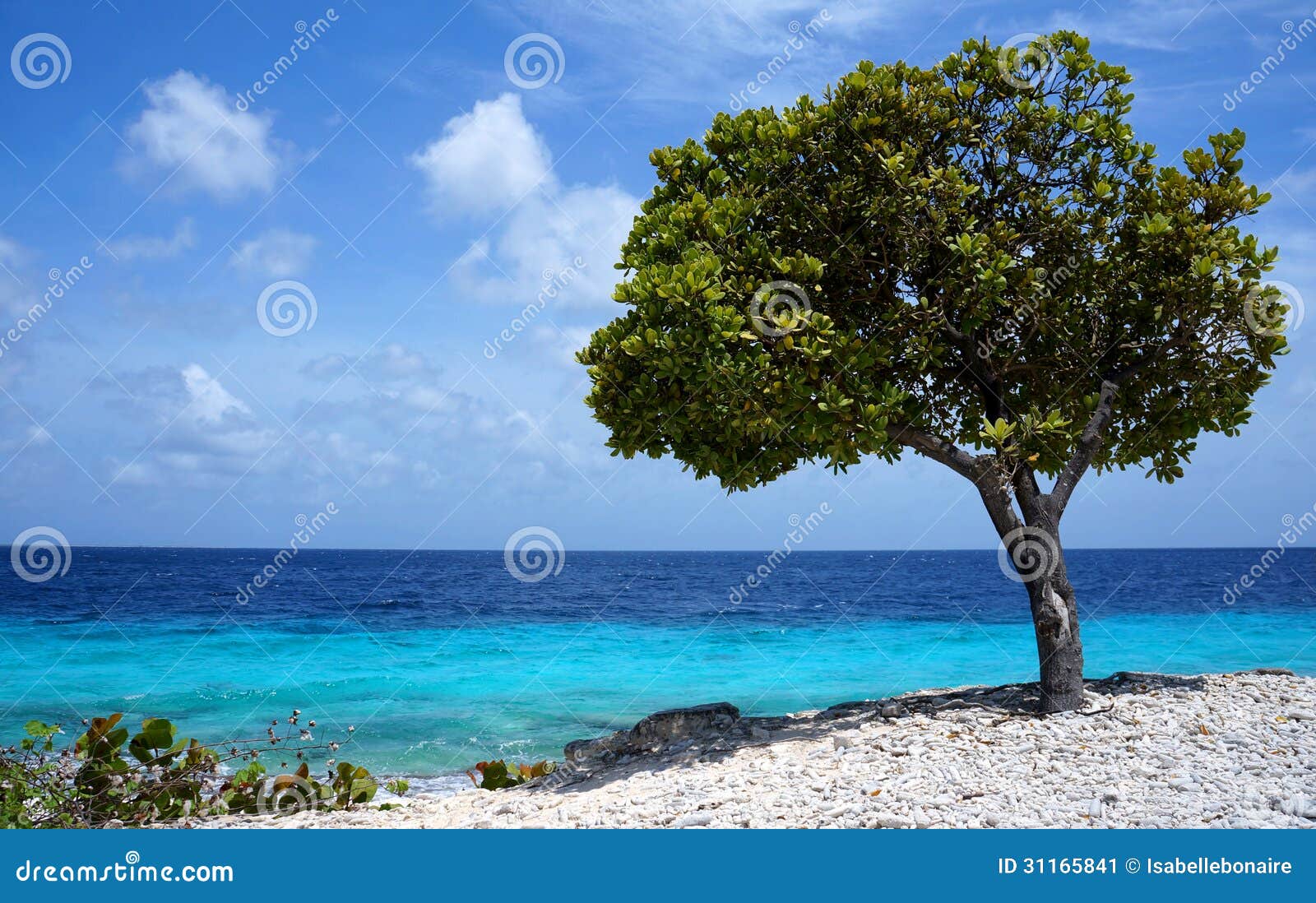 Seaside stock image. Image of antilles, green, dutch - 31165841