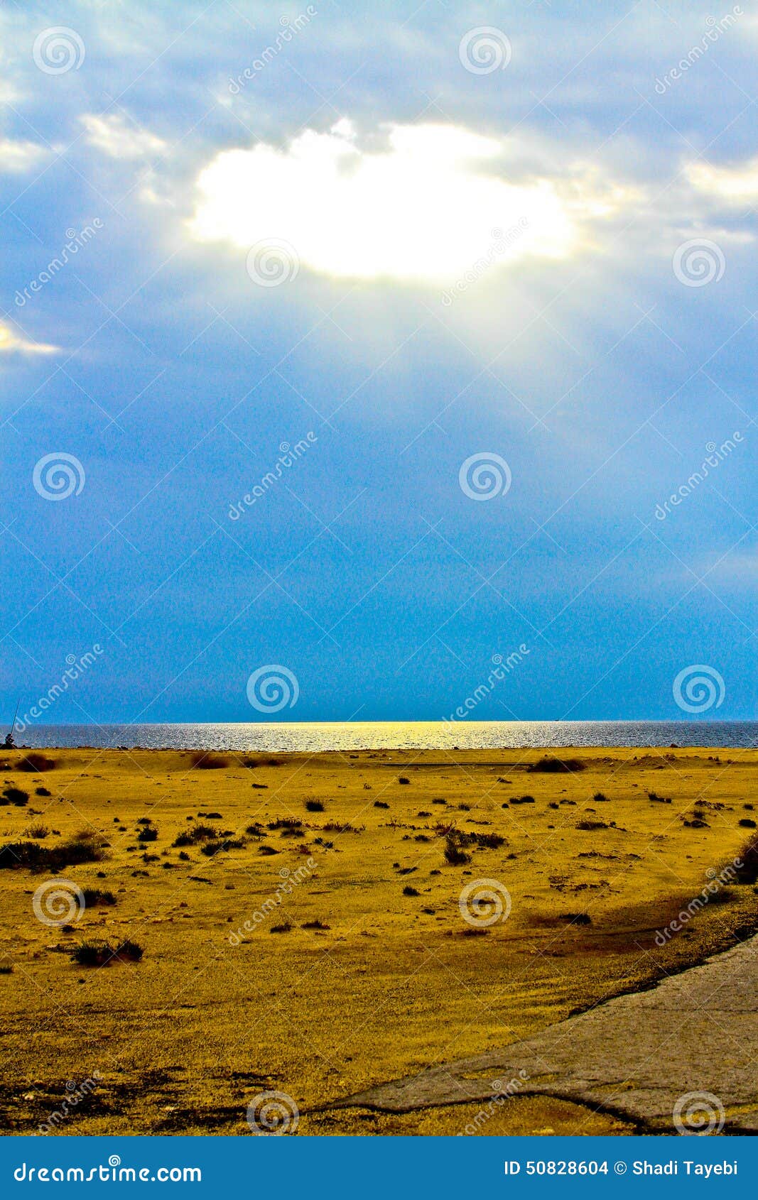 Seaside and the water stock photo. Image of beach, shore - 50828604