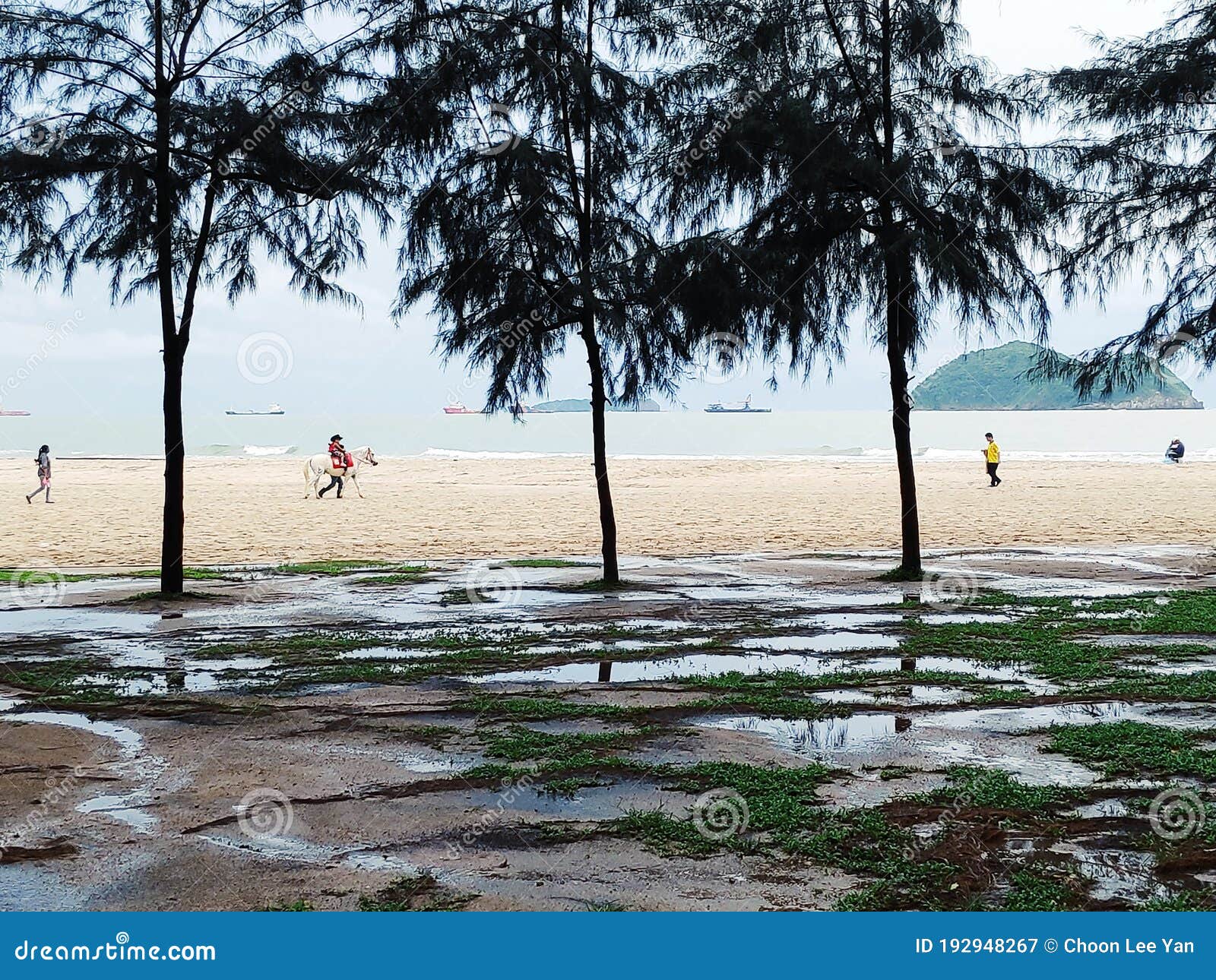 Seaside with water editorial photography. Image of coast - 192948267