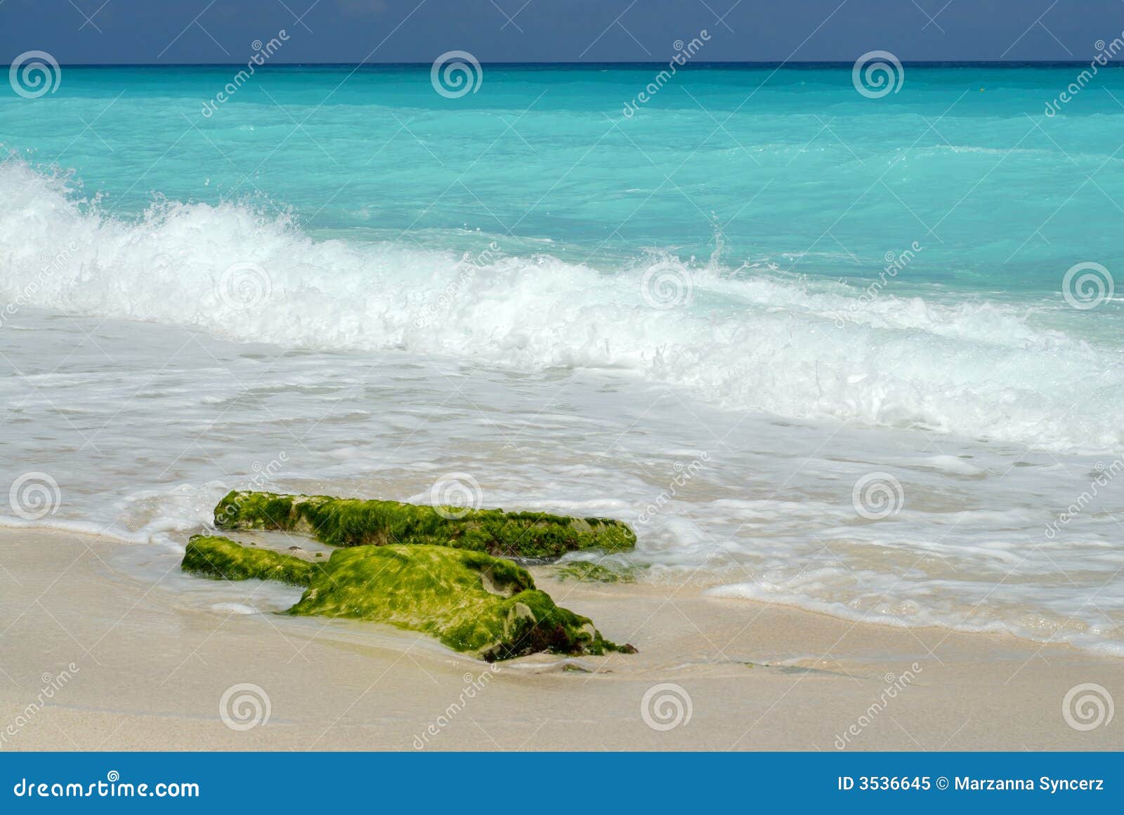 Seaside waves and rock stock image. Image of coast, seaside - 3536645