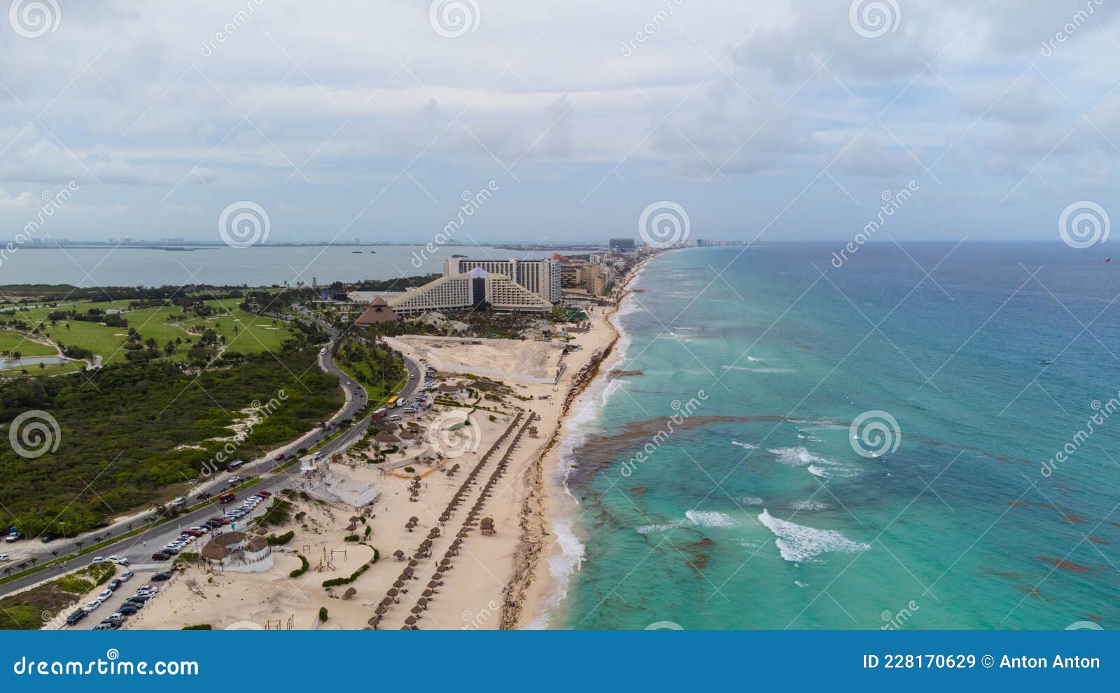 Seaside, White Sandy Beach and Sea Water Contaminated with Algae. the ...