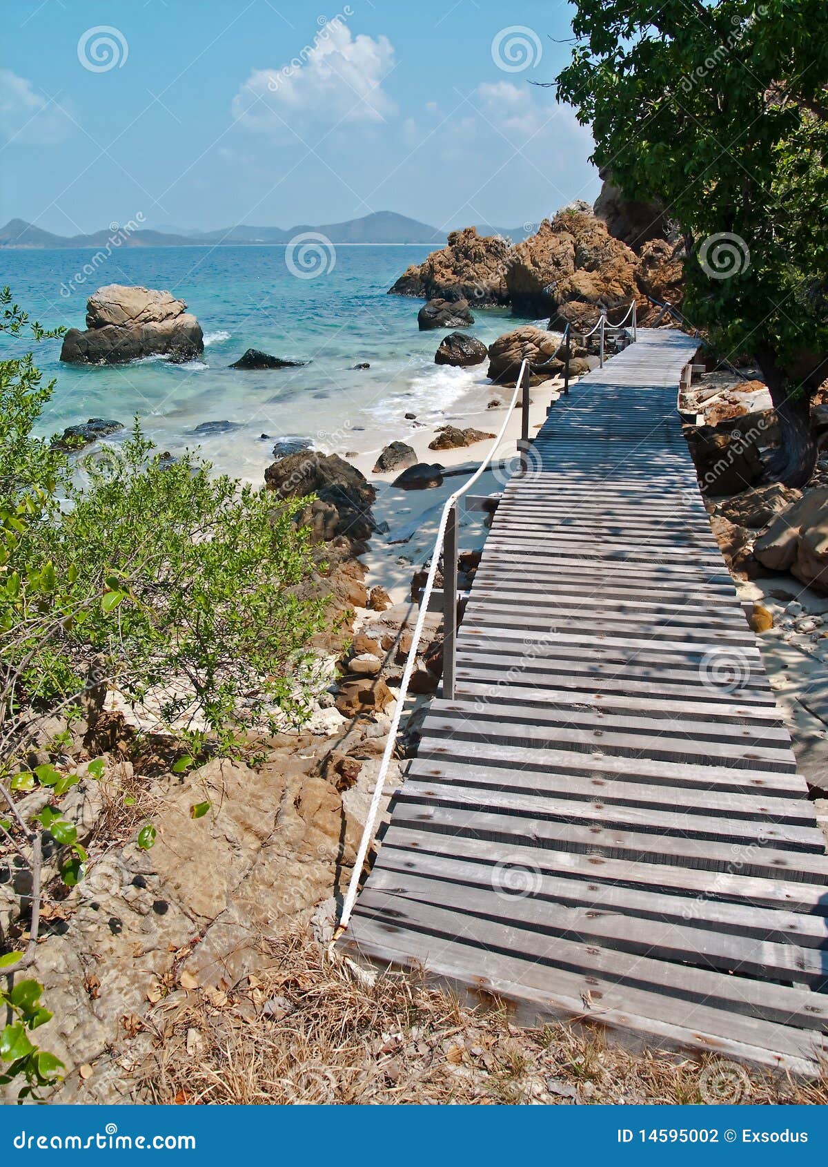Seaside Wood Bridge stock photo. Image of tree, beach - 14595002