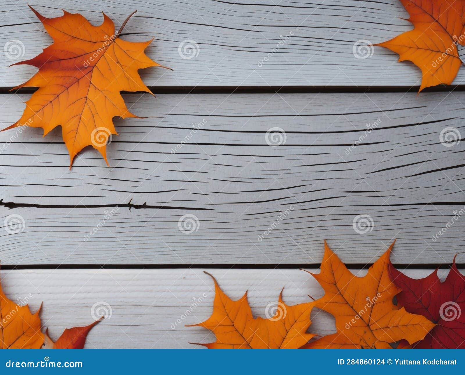 Season Autumn Leave Background Stock Illustration - Illustration of ...