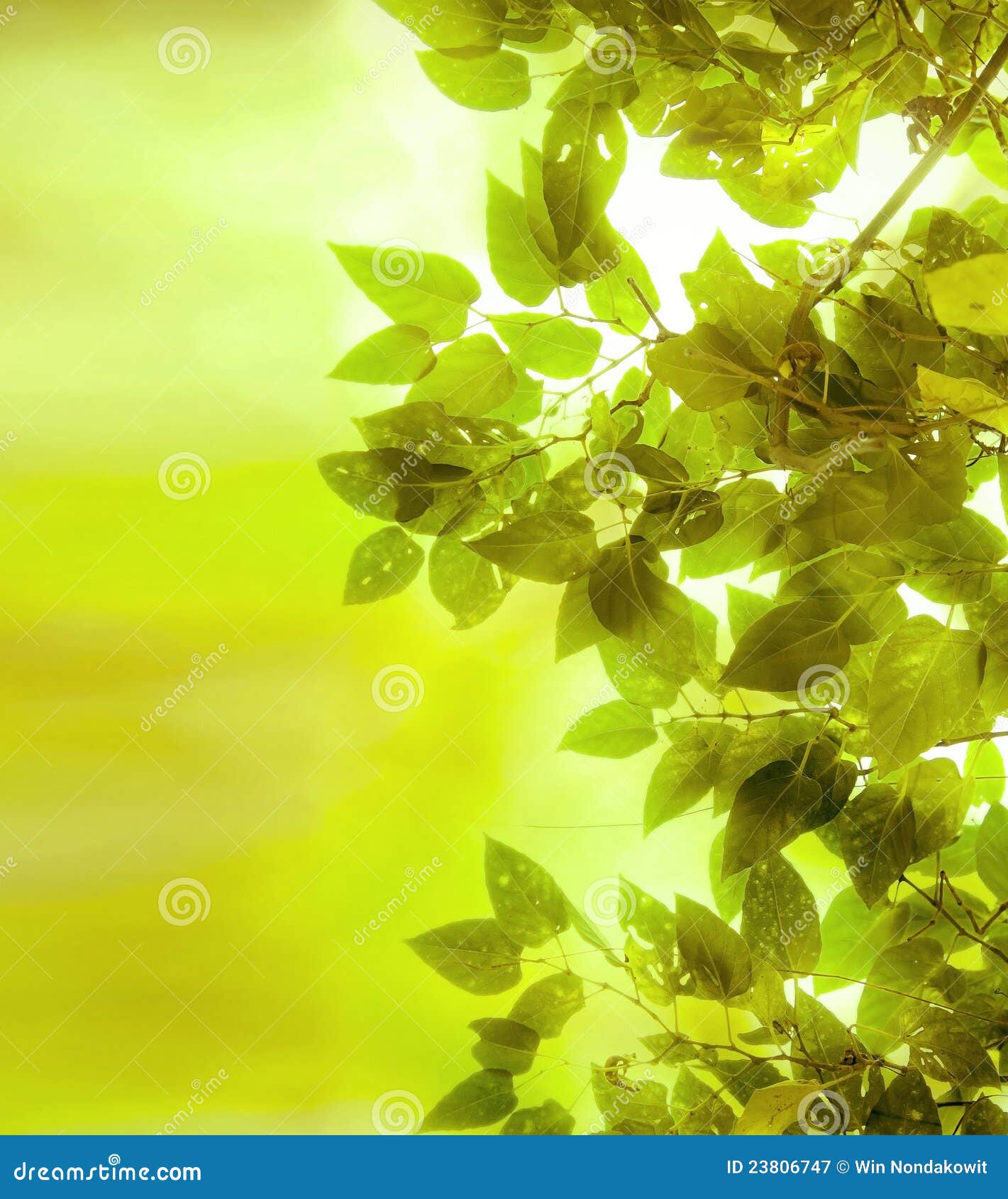 Season change stock image. Image of background, environment - 23806747