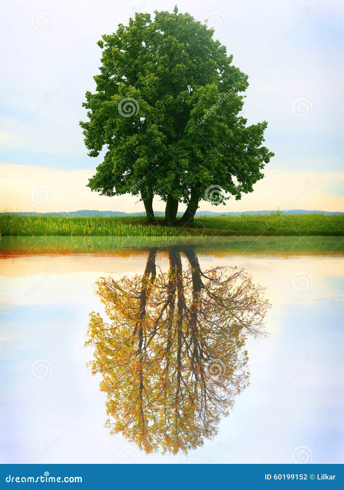 Season Change. from Summer To Autumn. Stock Photo - Image of foliage ...