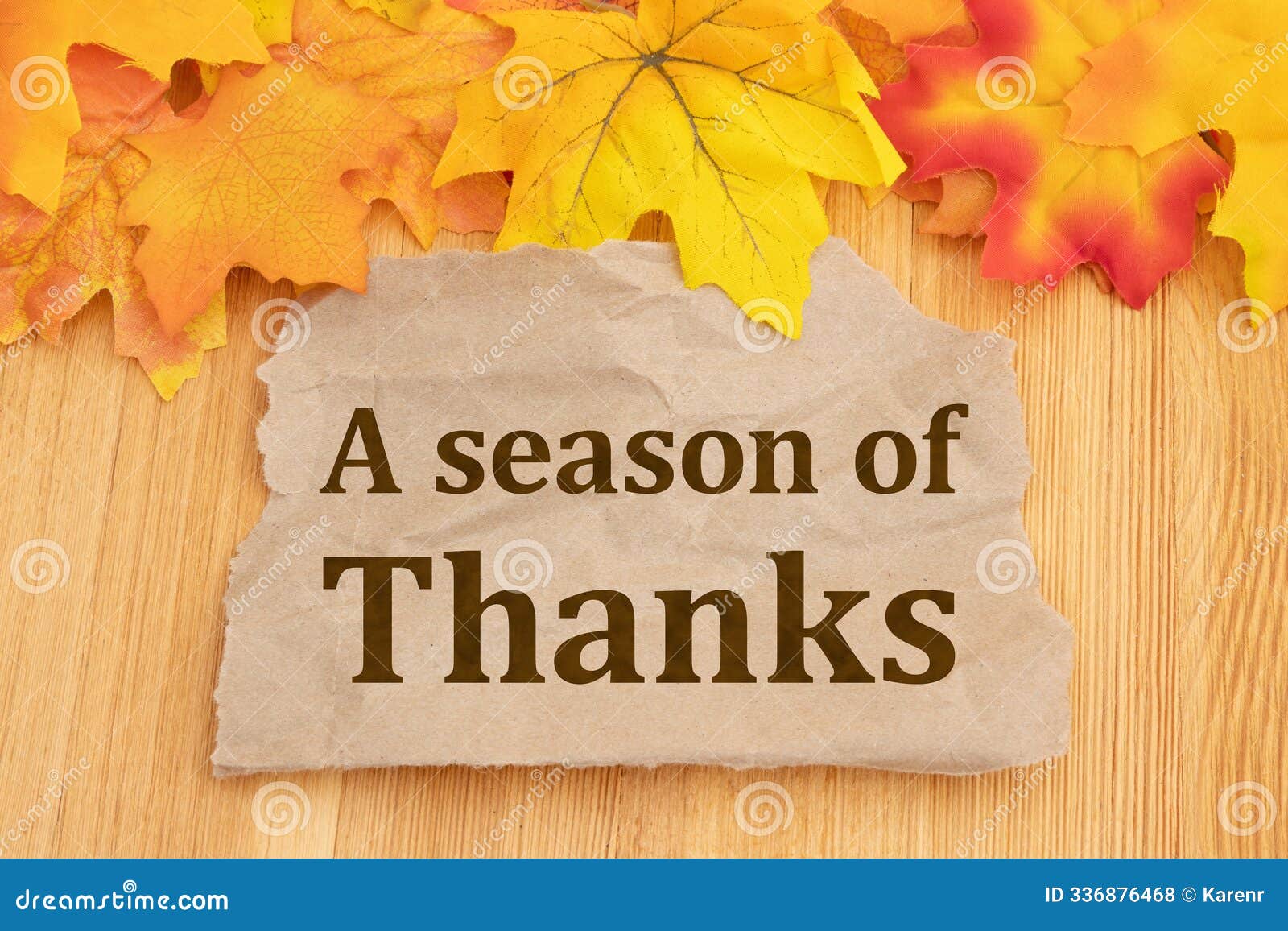 A Season of Thanks Note with Fall Leaves with a Torn Piece of Paper on ...