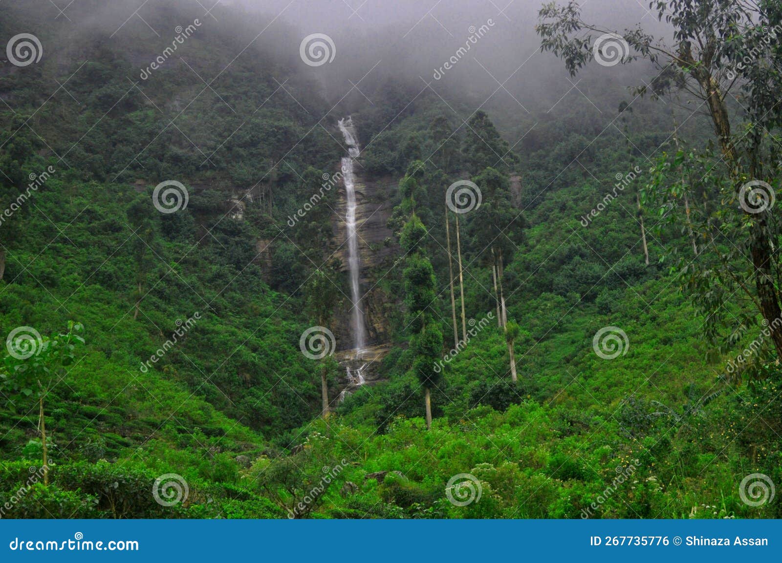 Seasonal Rainy Waterfalls stock photo. Image of mist - 267735776
