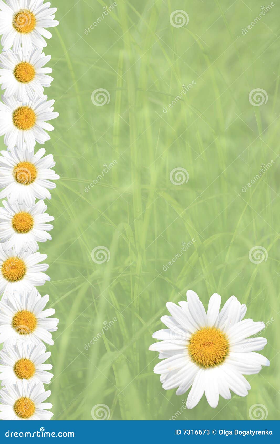 Seasonal Summer Daisy and Grass Background Stock Image - Image of ...