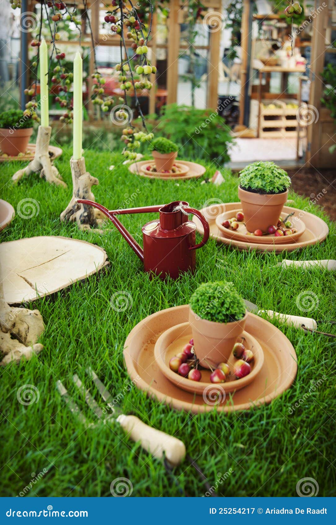 Seasonal table stock image. Image of living, tasty, fresh - 25254217