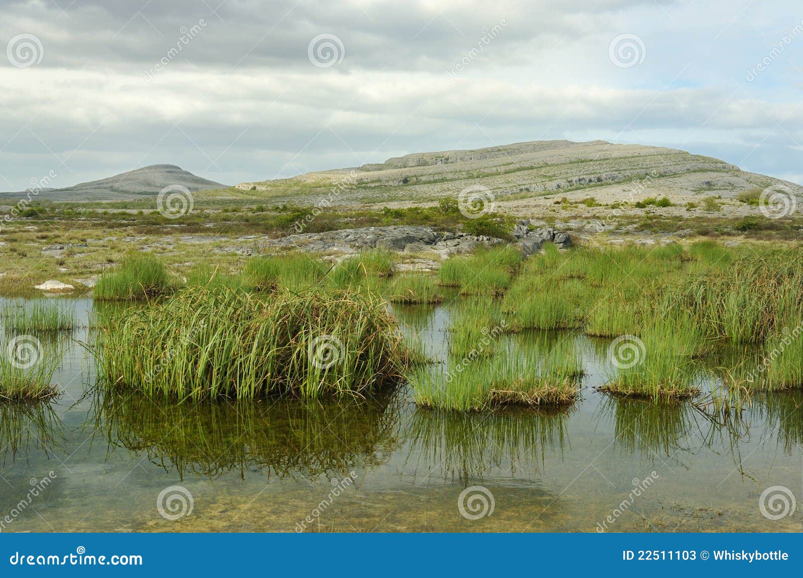 Seasonal Turlough, Mullaghmore Stock Image - Image of glacial, exposed ...