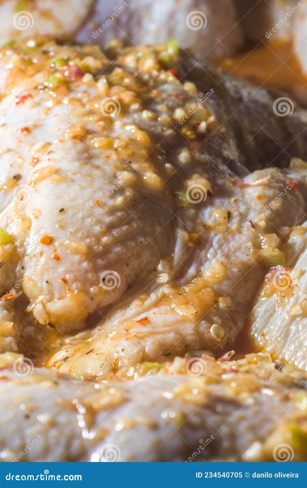 Seasoned and Raw Chicken, Texture with Selective Focus Stock Image ...