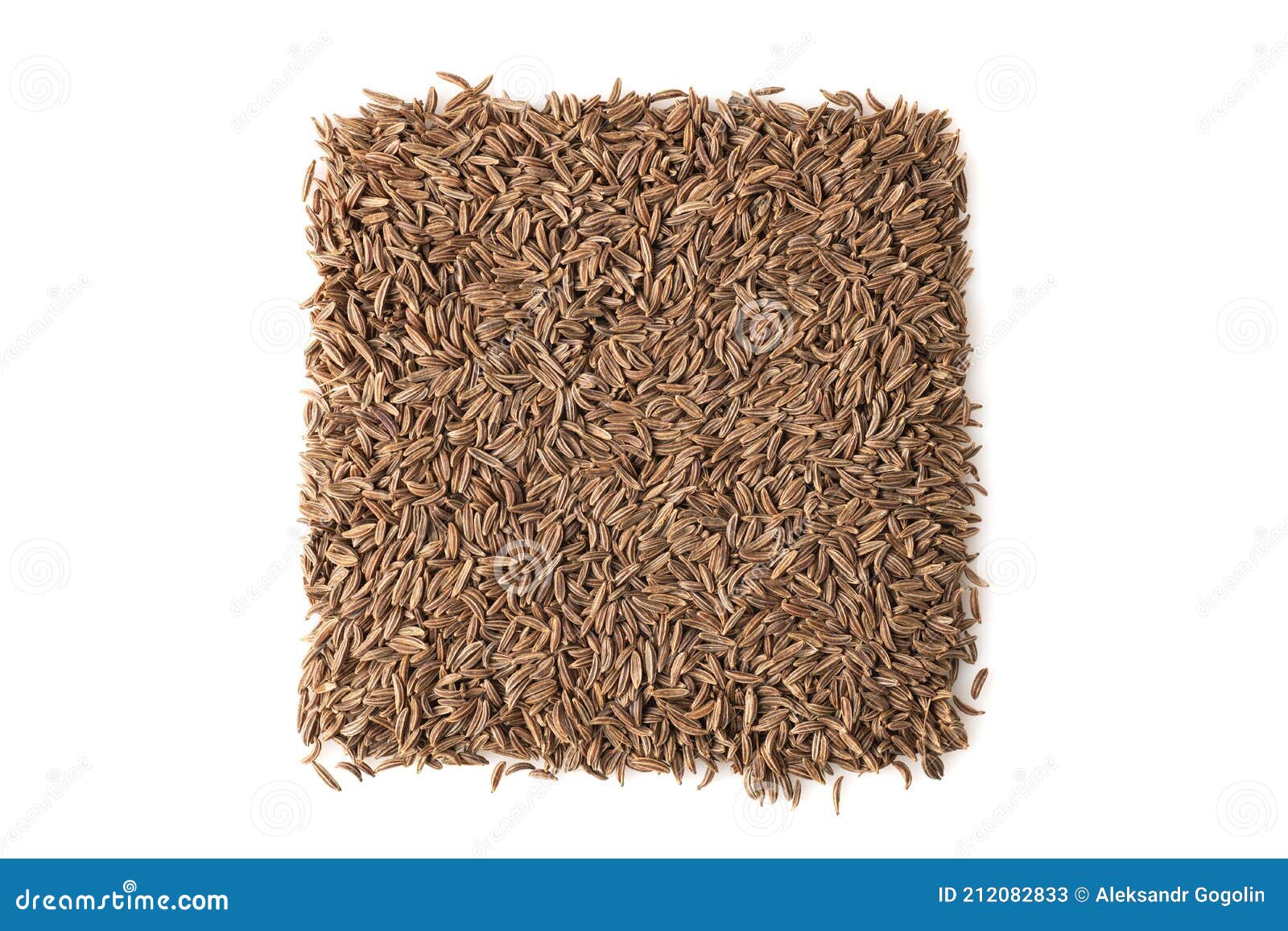 Seasoning Cumin Grain Isolated on White Stock Image - Image of caraway ...