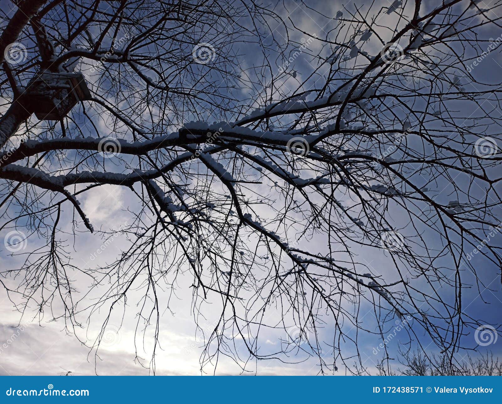 SEASONS the ARRIVAL of SPRING Stock Image - Image of sunrise, winter ...