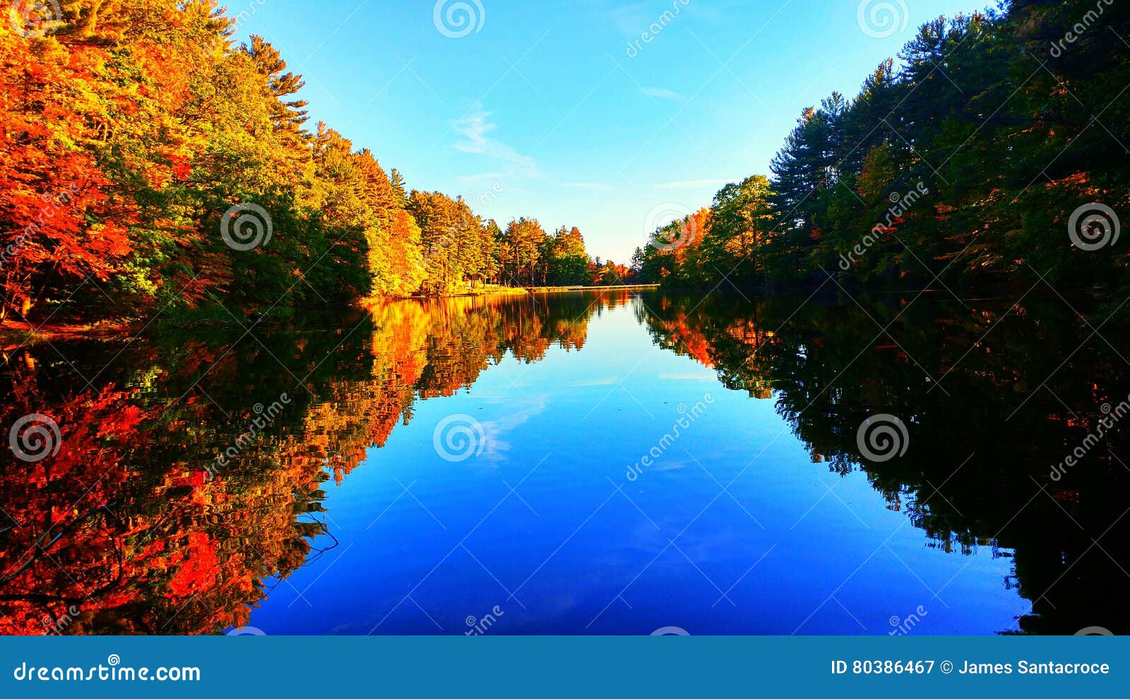 Seasons stock image. Image of seasons, scene, trees, fall - 80386467