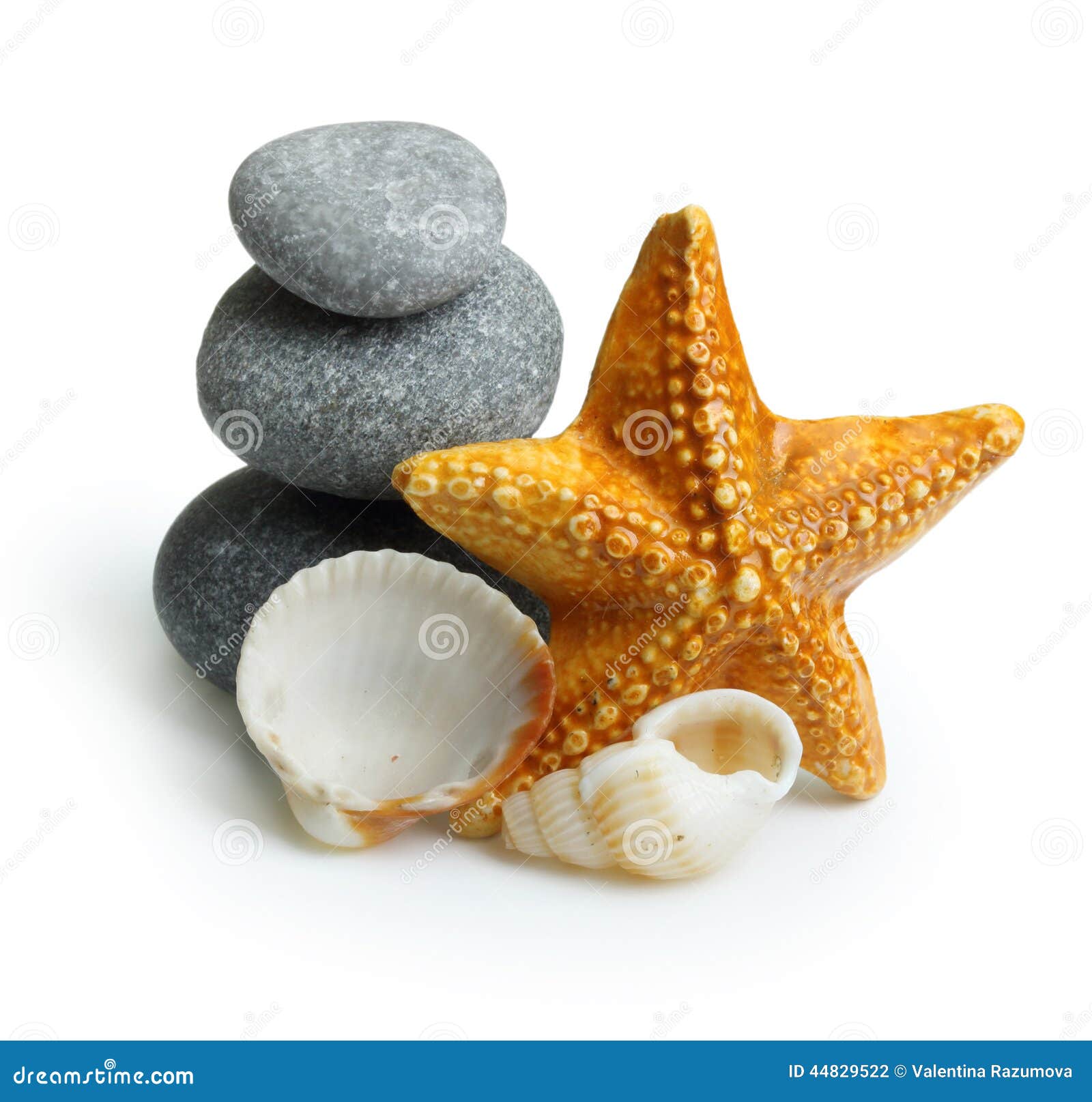 Seastar, Stones and Seashell. Stock Photo - Image of resort, element ...