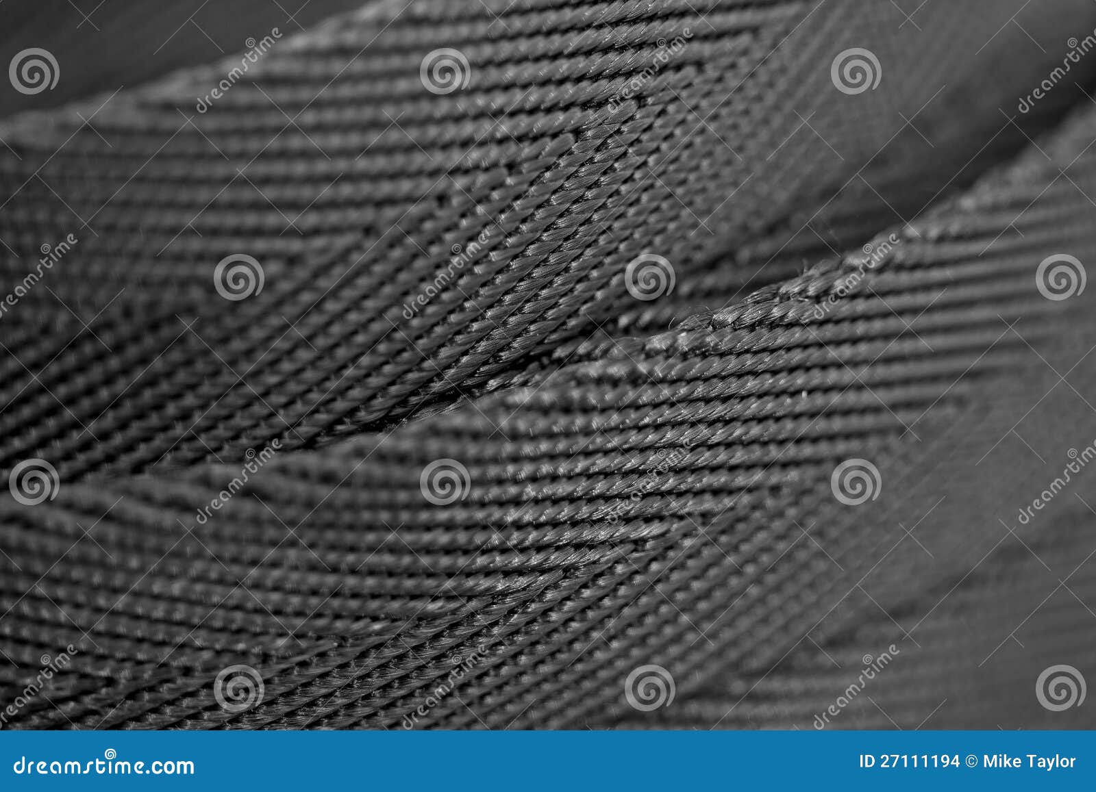 Belt Texture Stock Photo | CartoonDealer.com #29401044