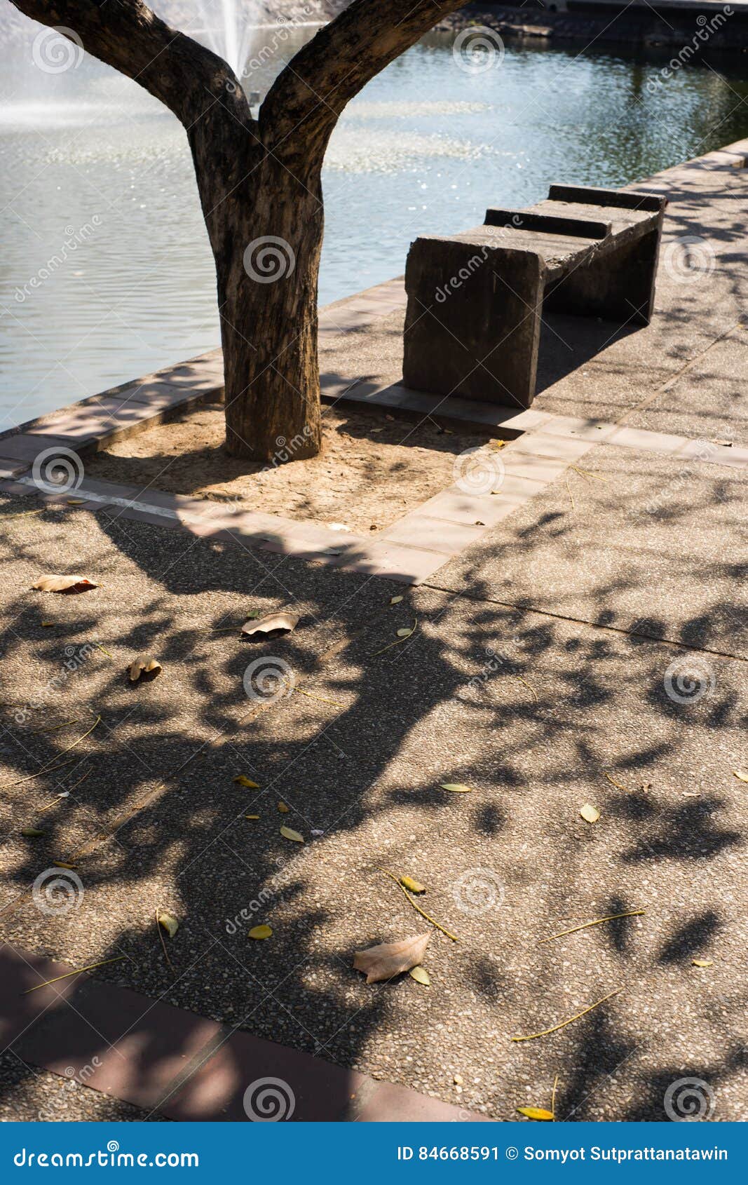 Seat bench footpath stock image. Image of seat, side - 84668591