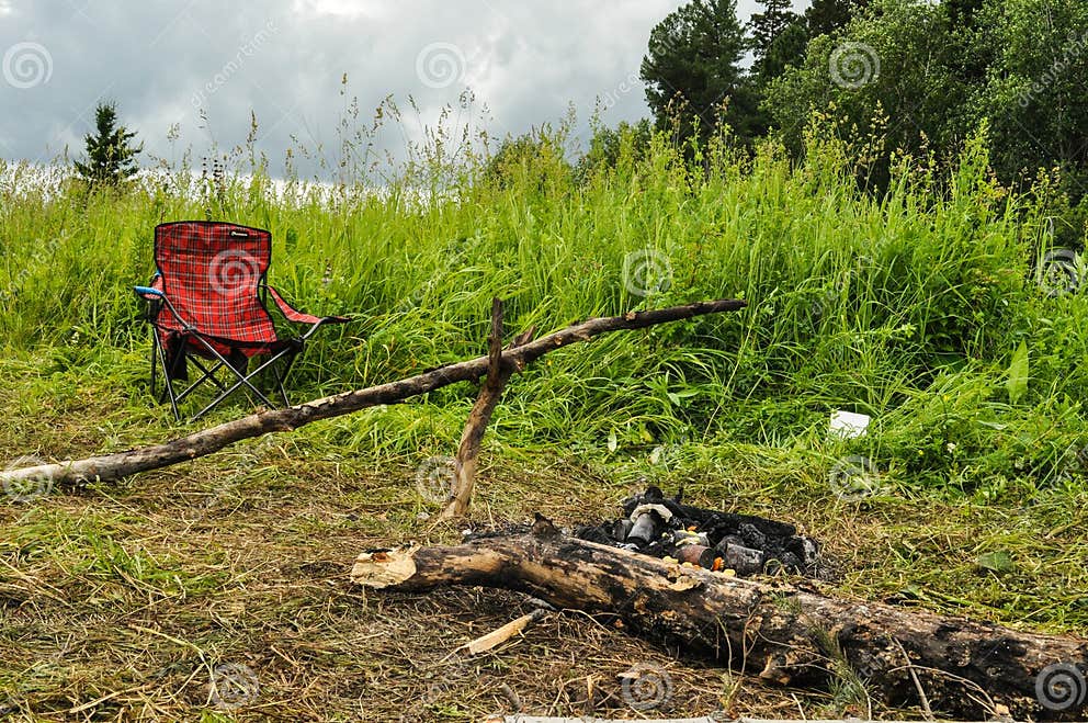 Seat in the grass stock photo. Image of summer, forest - 24832834