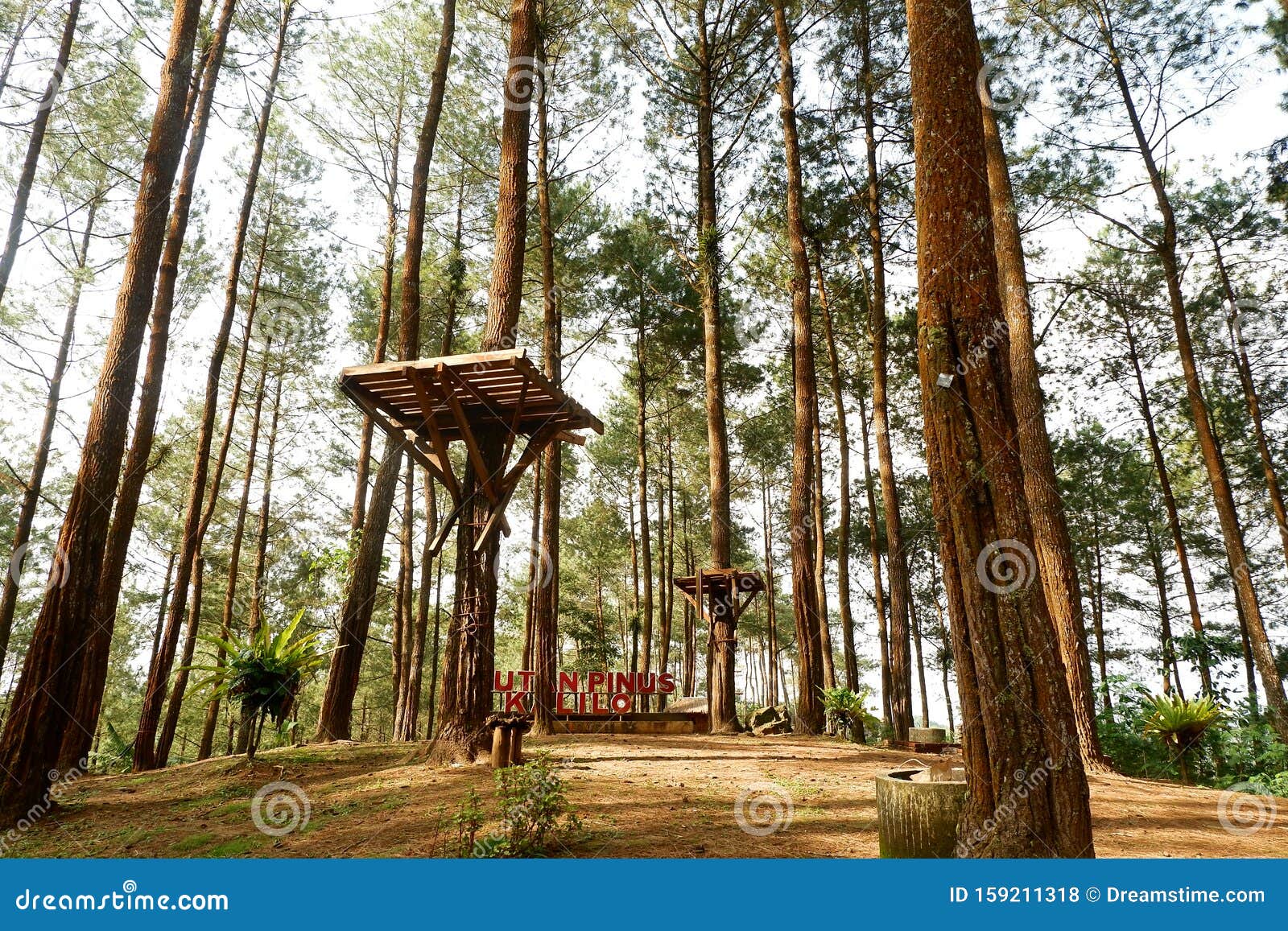 A Seat To Relax in the Trees Stock Photo - Image of house, corner ...