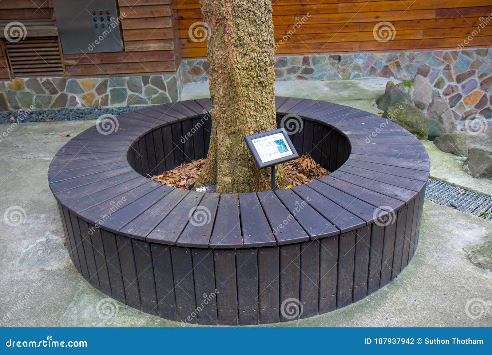 Seat under the tree stock photo. Image of wood, bench - 107937942