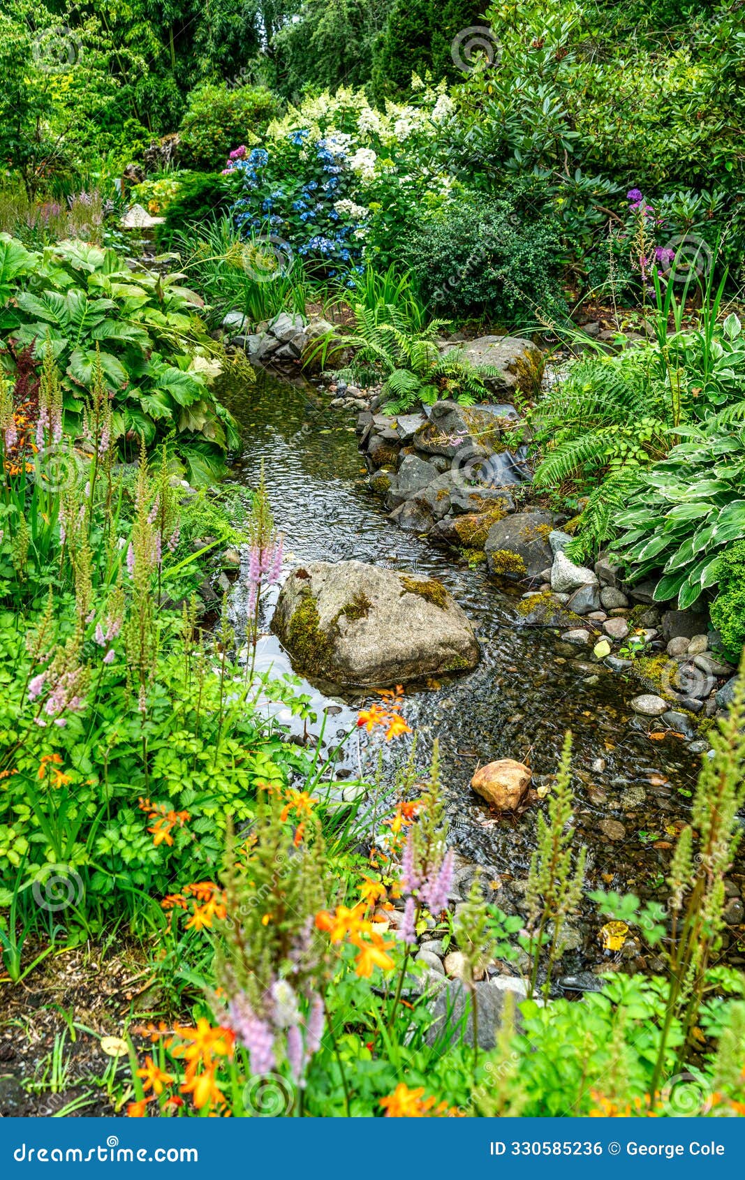 Seatac Garden Stream Landscape 2 Stock Photo - Image of nature, water ...