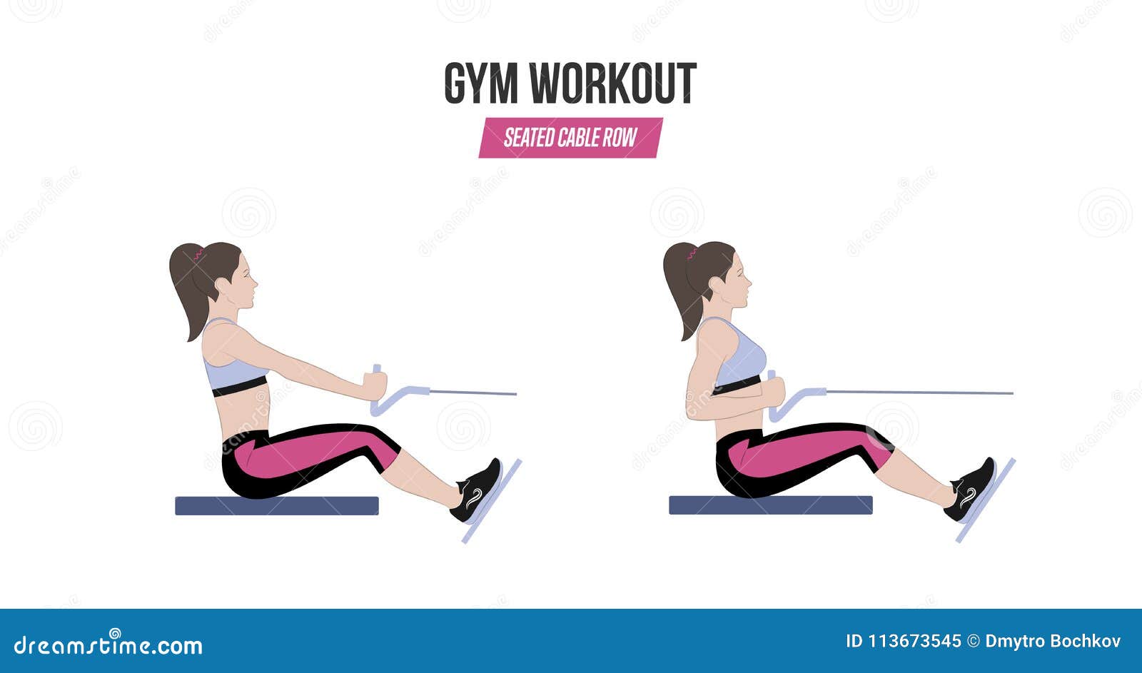 Seated Cable Row. Sport Exercises. Exercises in a Gym. Workout ... Seated Cable Row. Sport Exercises. Exercises in a Gym. Workout ...