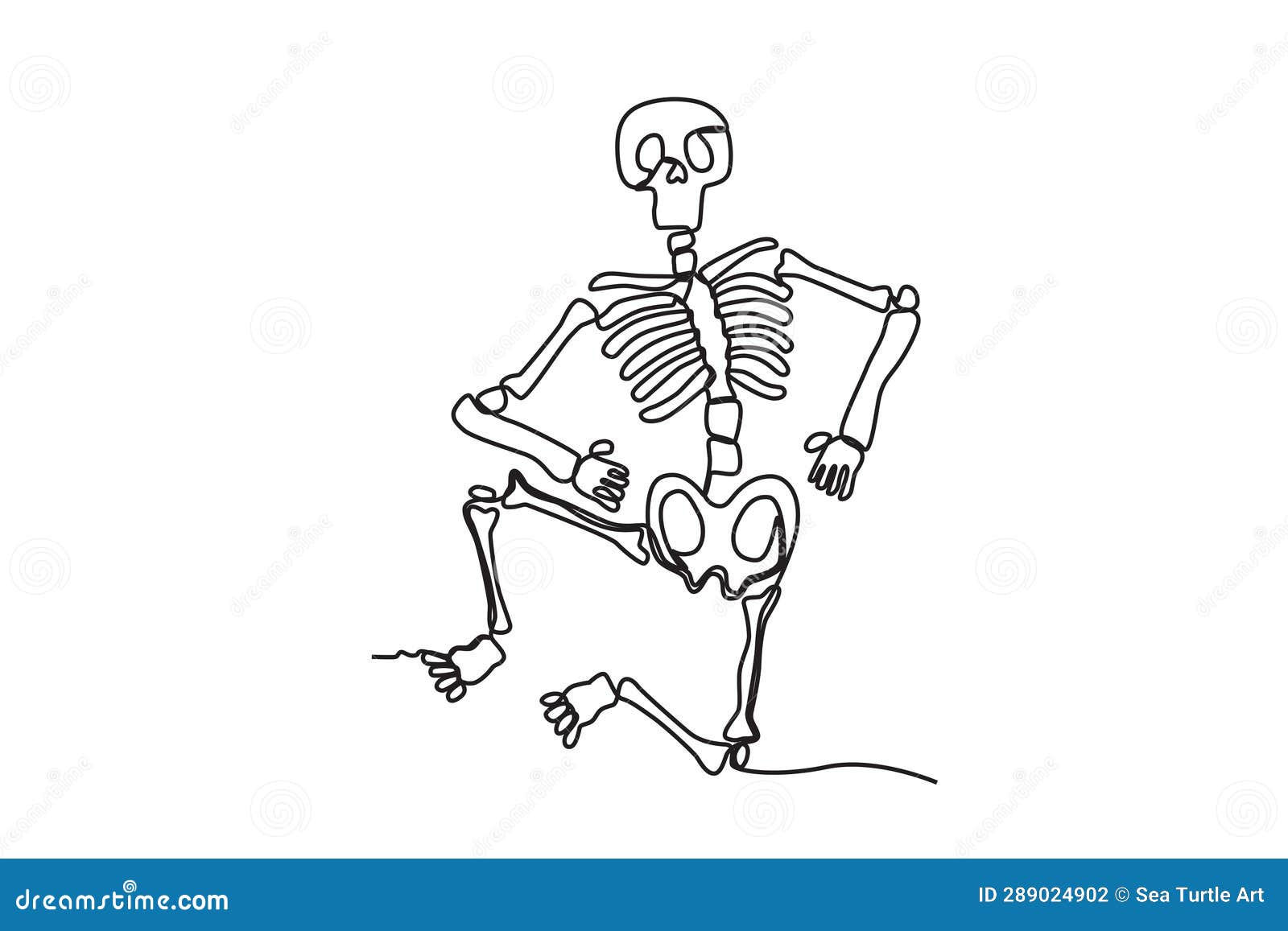 A Seated Skeleton with Legs Bent Stock Vector - Illustration of design ...