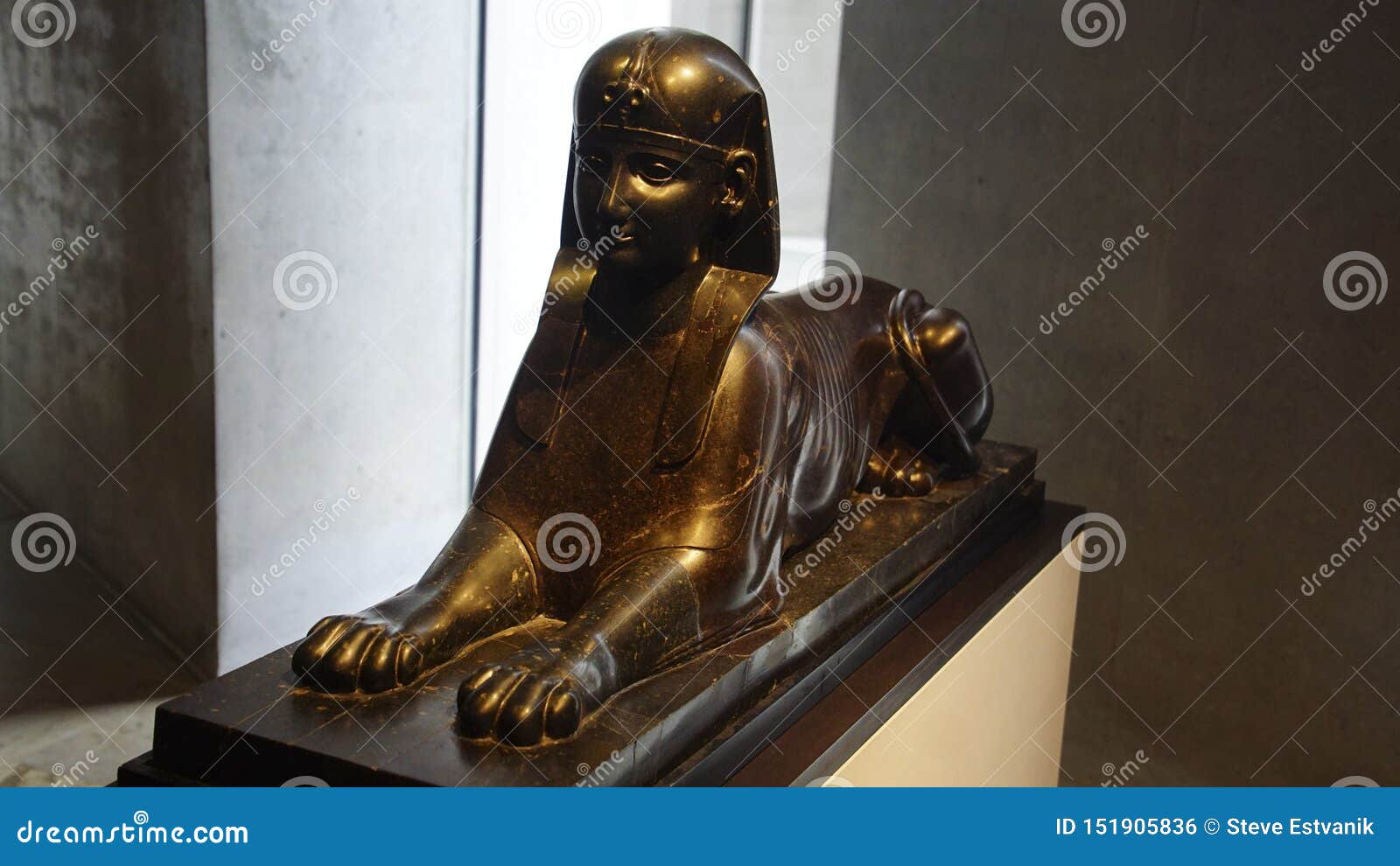 Seated Sphinx Statue, Egyptian Museum Editorial Photo - Image of statue ...