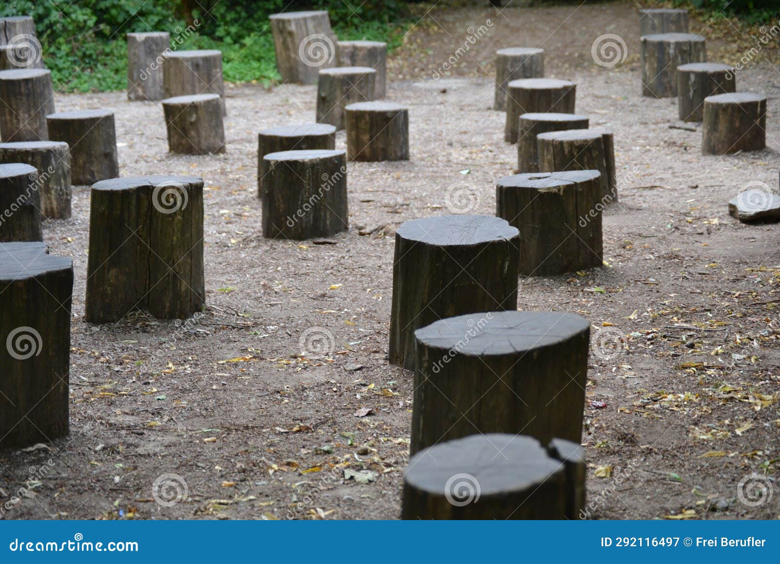 Seating in a Forest Made of Tree Trunks Stock Image - Image of green ...