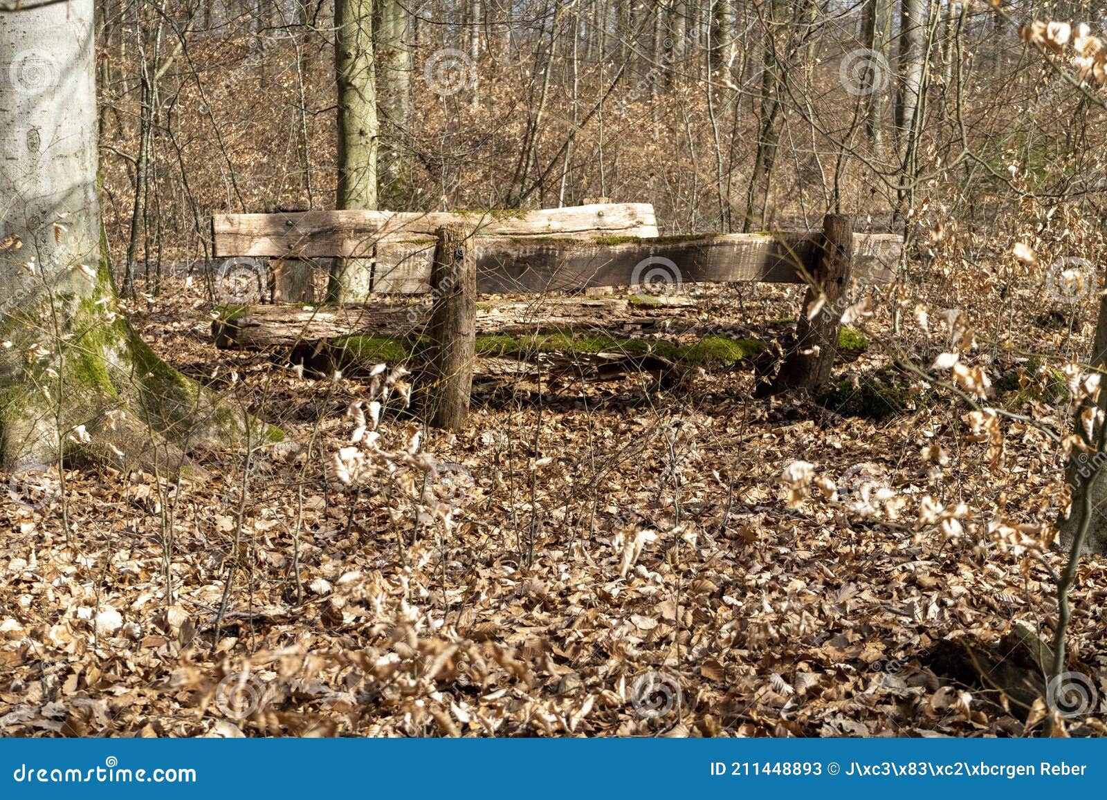 Seating Group in the Forest in the Sunlight Stock Image - Image of ...