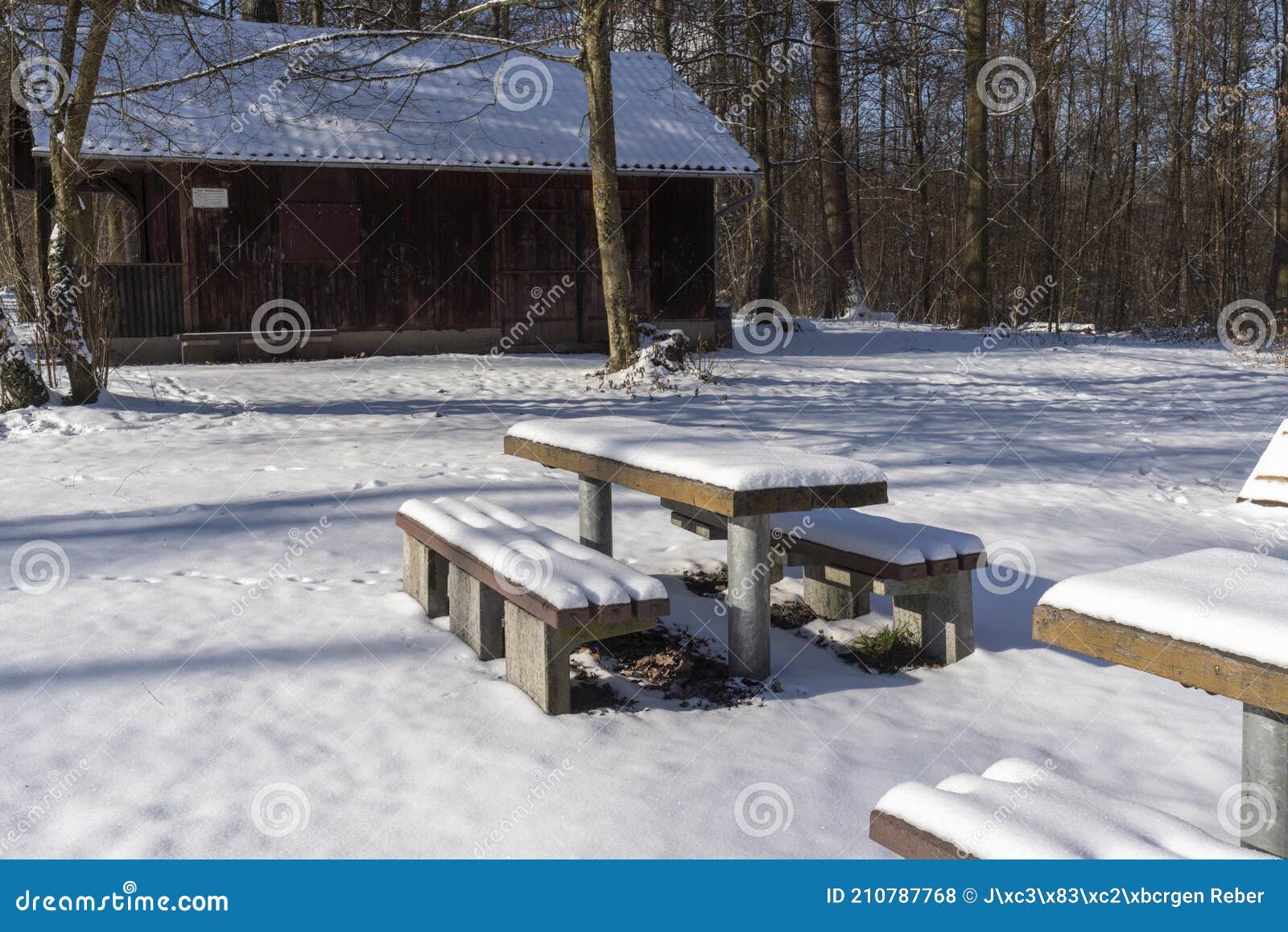 Seating Group is Snowed in in the Winter Forest Stock Photo - Image of ...