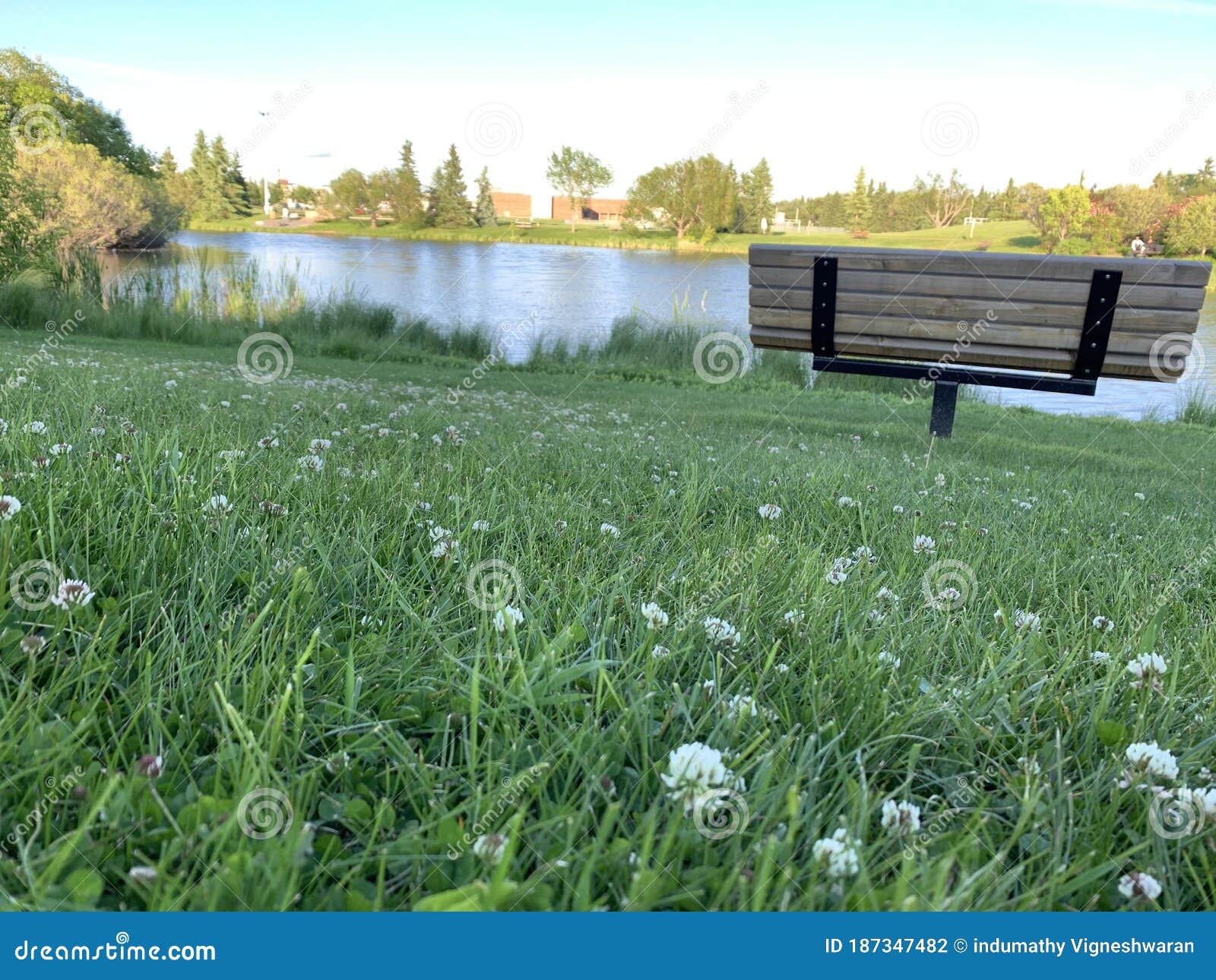 Seating peace of place stock photo. Image of woodland - 187347482