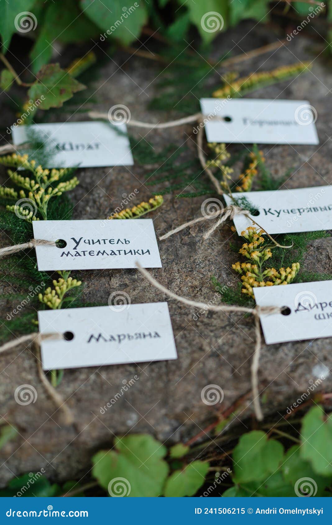 Seating Plate for Restaurant Guests Stock Image - Image of white ...
