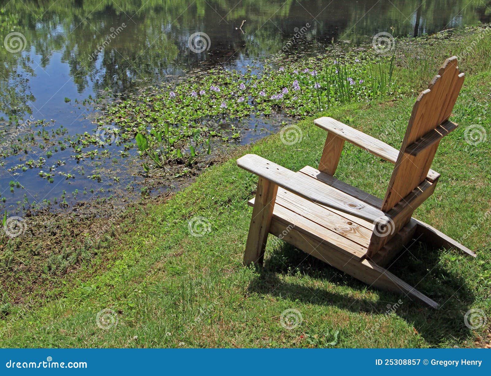 Seating by the Pond stock image. Image of sunny, pond - 25308857