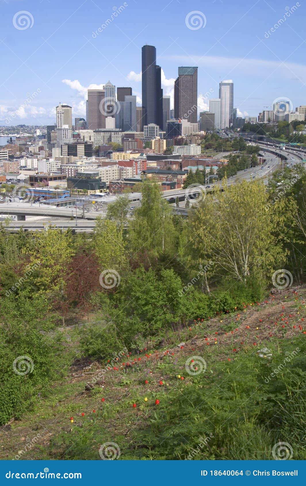 Seattle Skyline Buildings Blue Sky Daytime Stock Photo - Image of ...