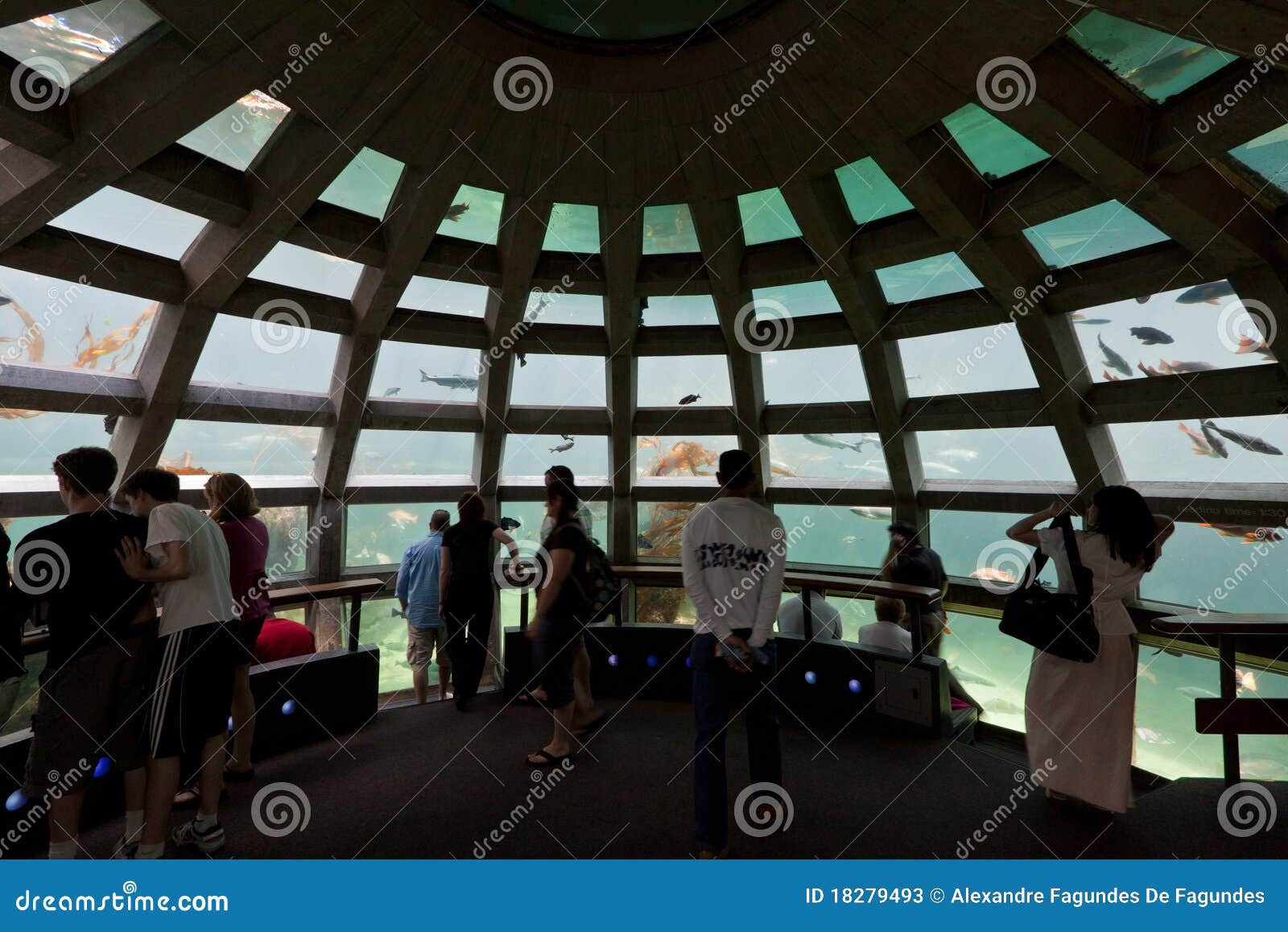 Seattle Aquarium editorial stock photo. Image of america - 18279493