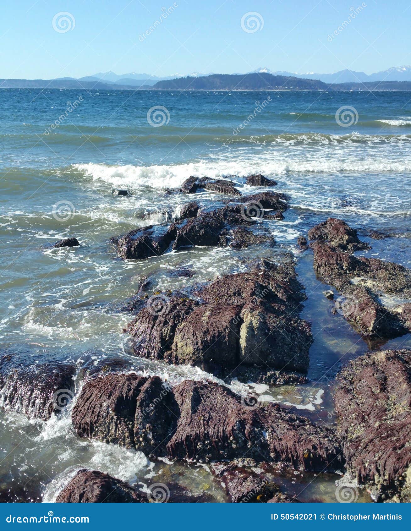 Seattle beach stock image. Image of rock, seattle, view - 50542021